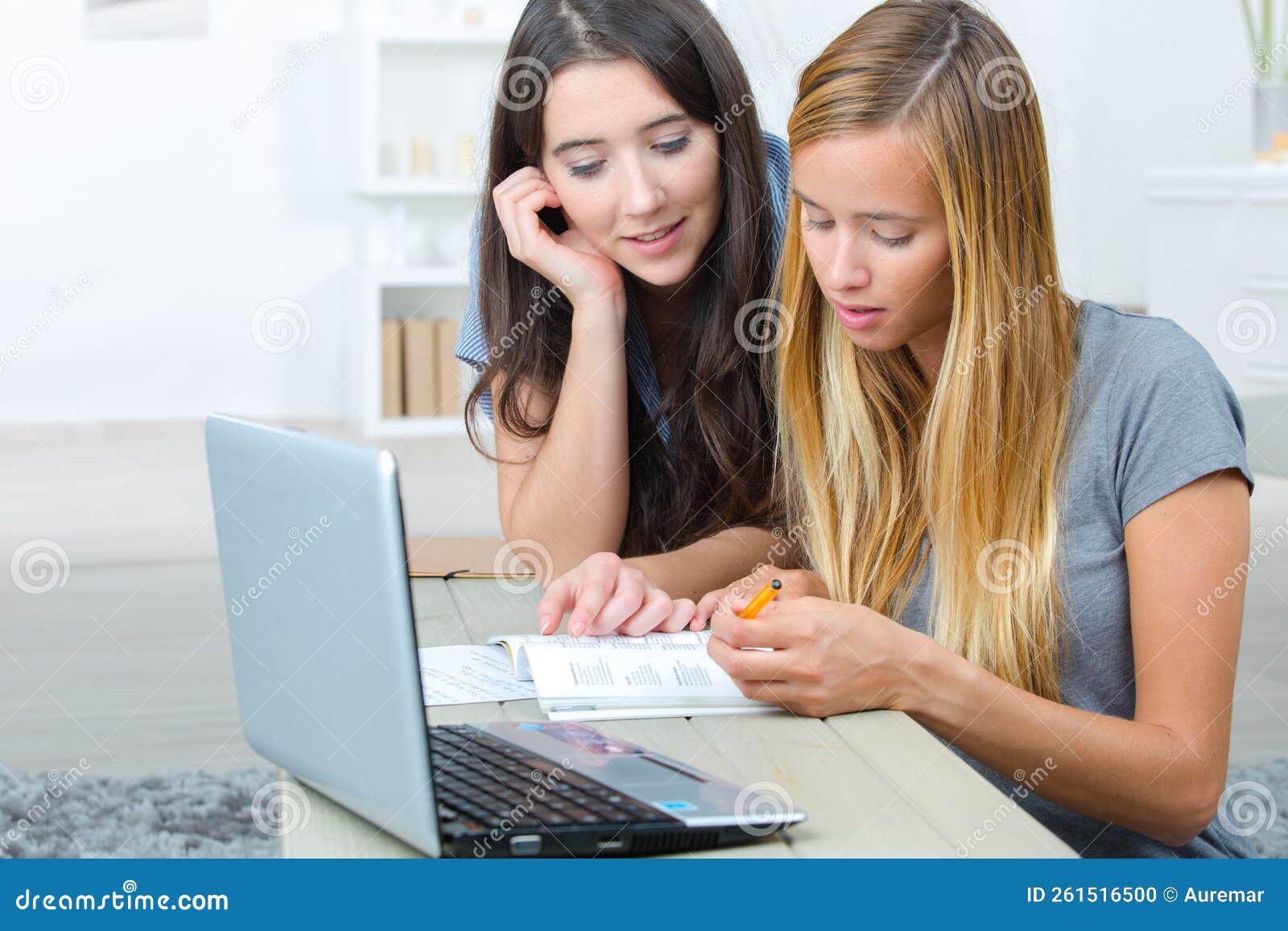 Two Students Studying at Home Stock Photo - Image of blonde, notebook ...