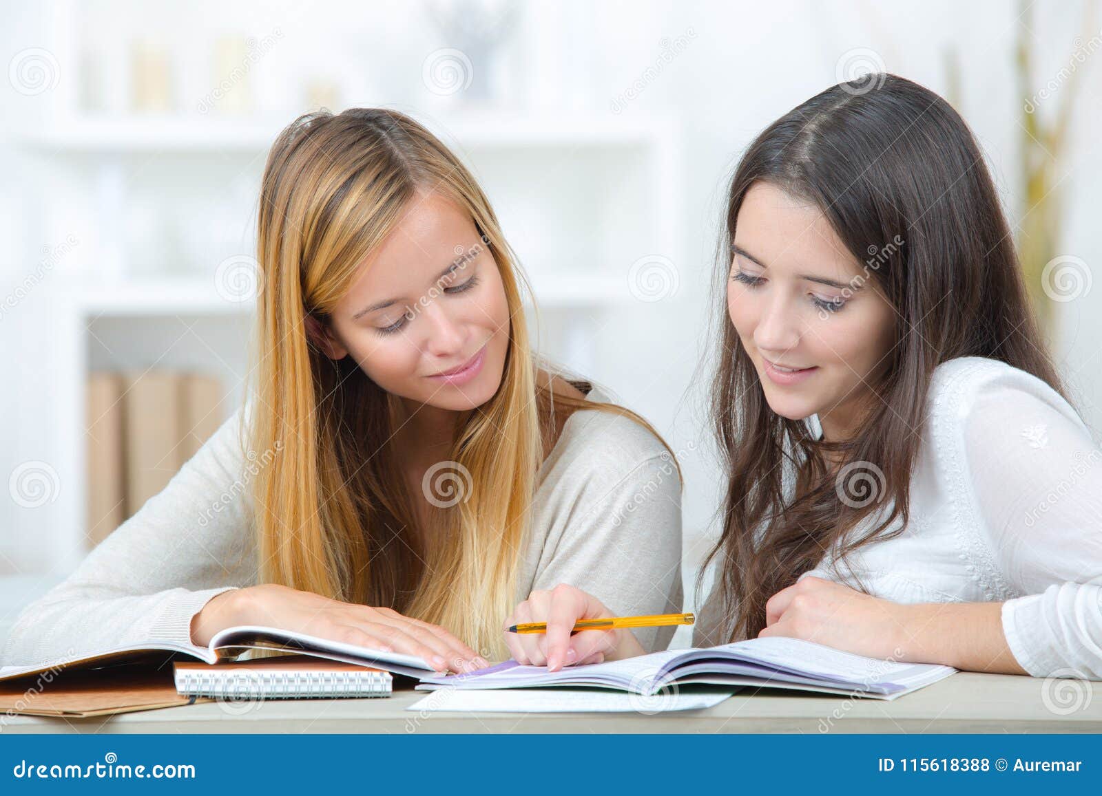 Two Students Studying Together Stock Photo - Image of female, internet ...