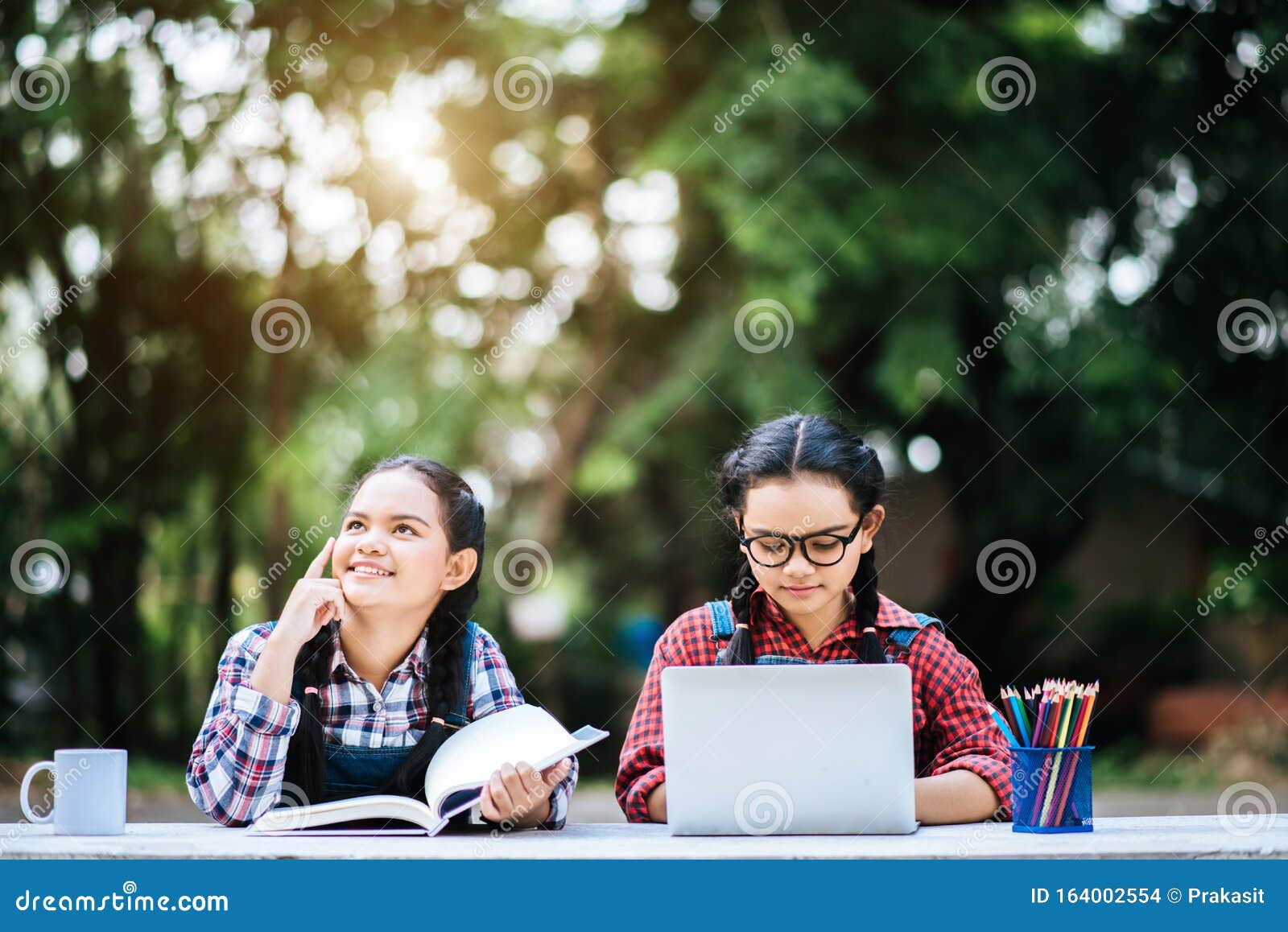 Two Students Studying Together Online with a Laptop Stock Photo - Image ...