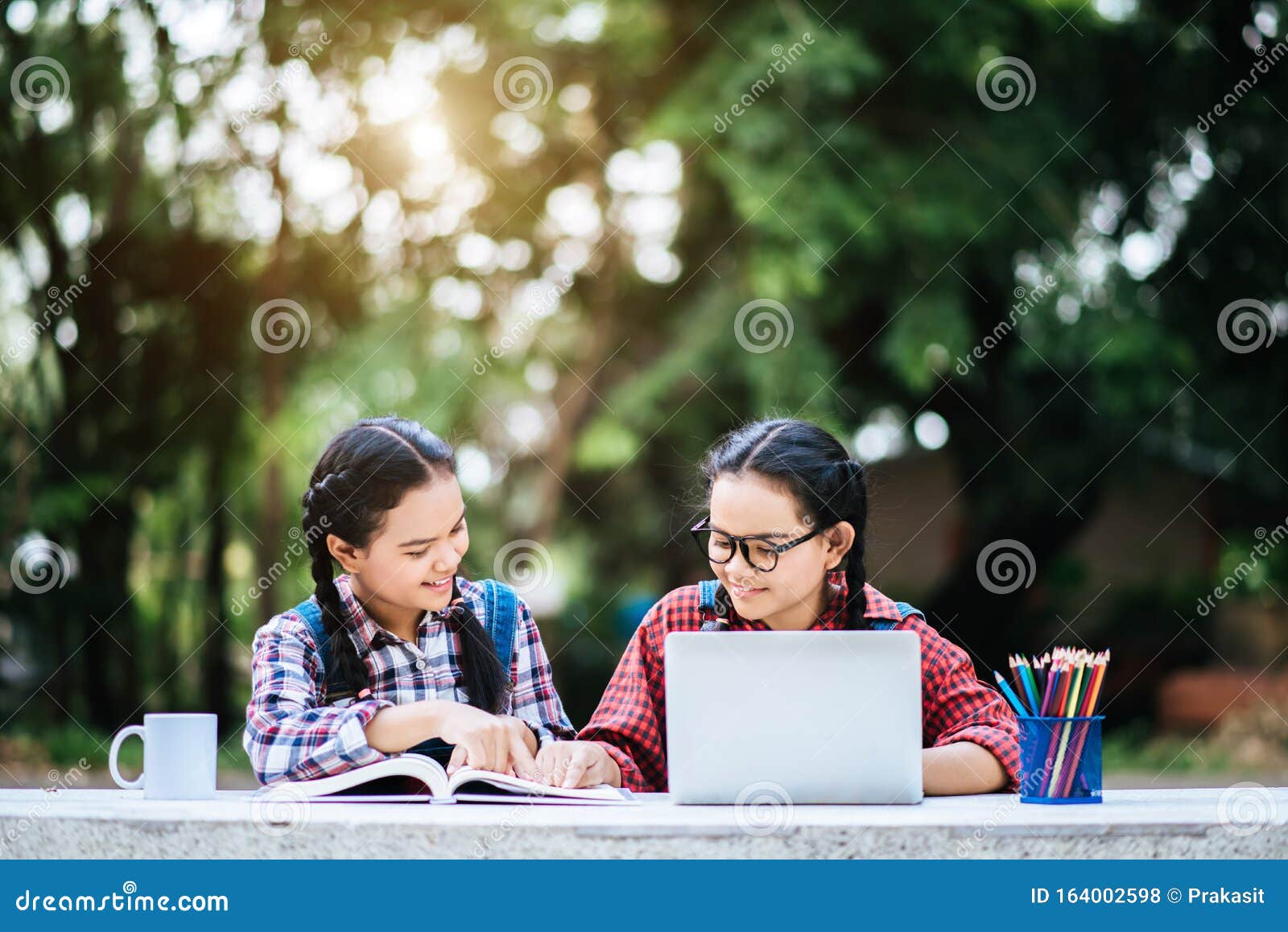 Two Students Studying Together Online with a Laptop Stock Photo - Image ...