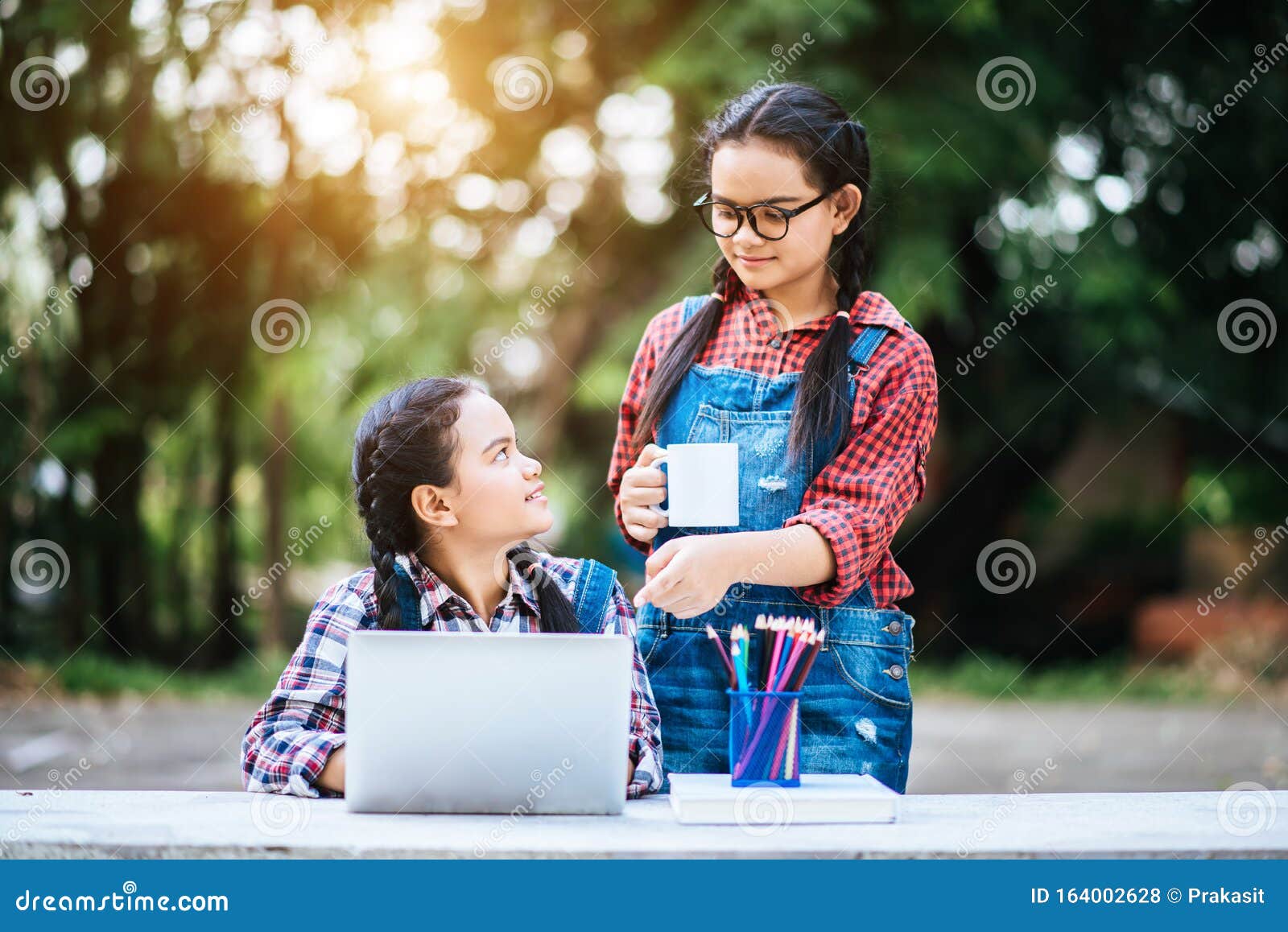 Two Students Studying Together Online with a Laptop Stock Photo - Image ...