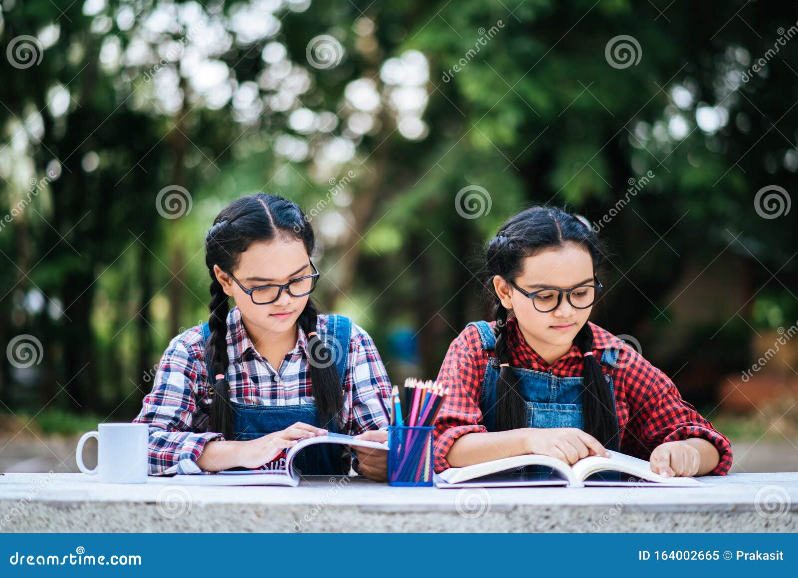 Two Students Studying Together Online with a Laptop Stock Image - Image ...