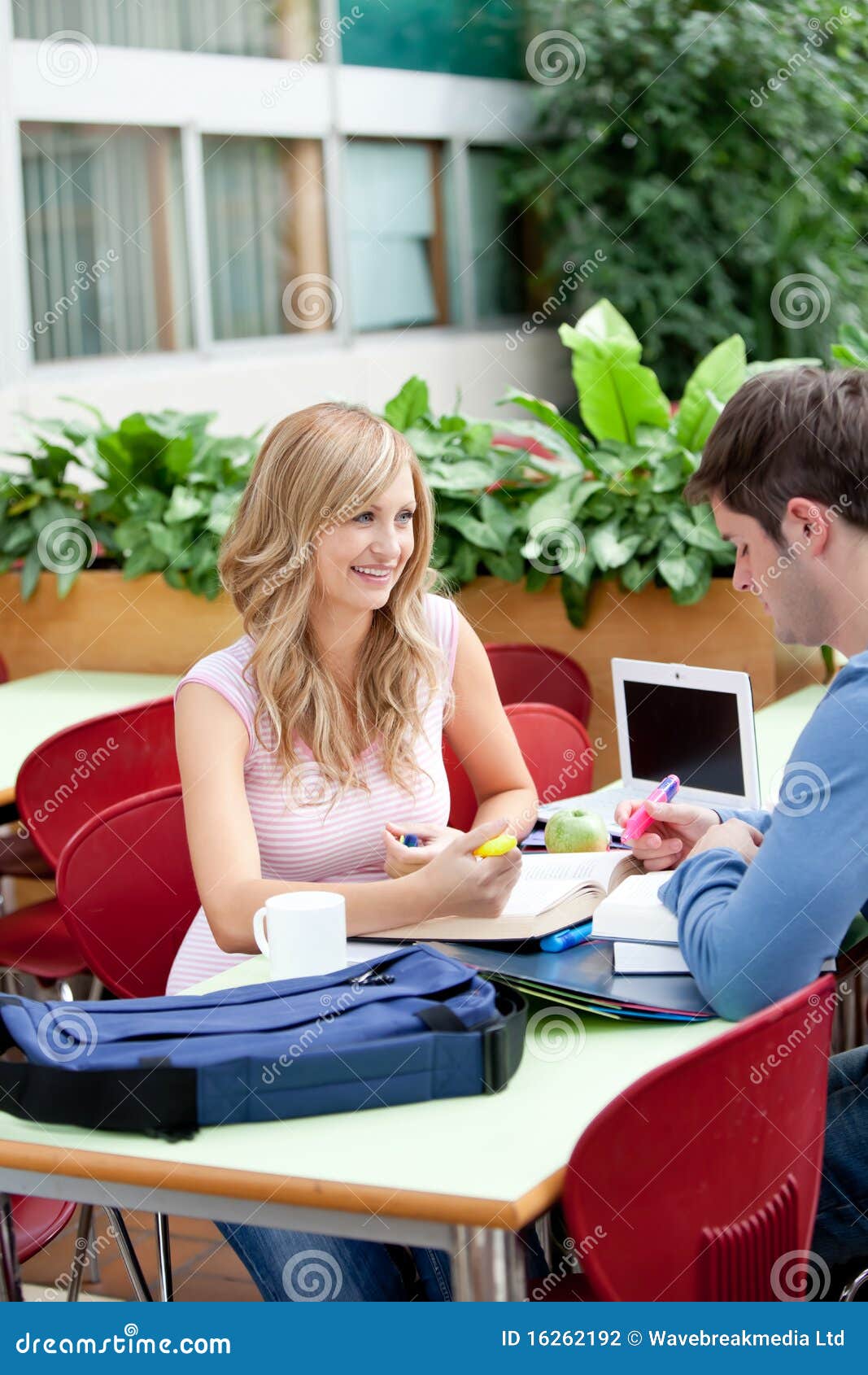 Two Students Working Together in the Library Stock Photo - Image of ...