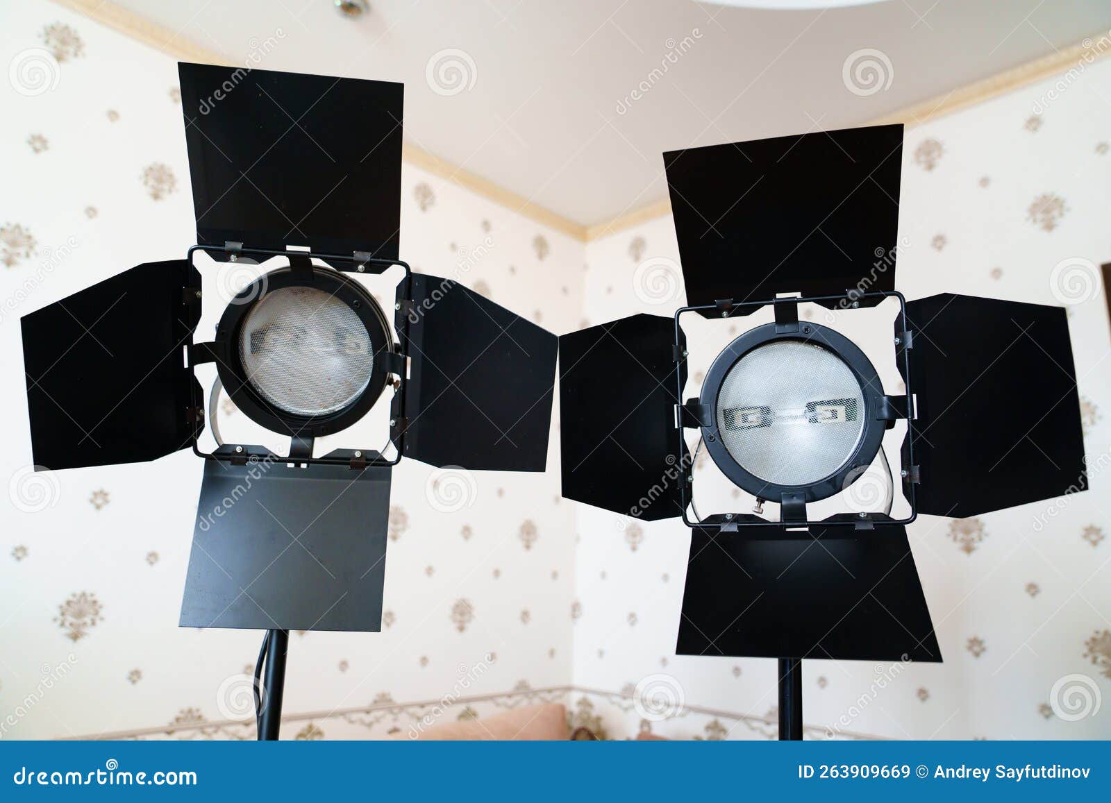 Two Studio Halogen Constant Light Illuminator. Equipment for the Photo ...