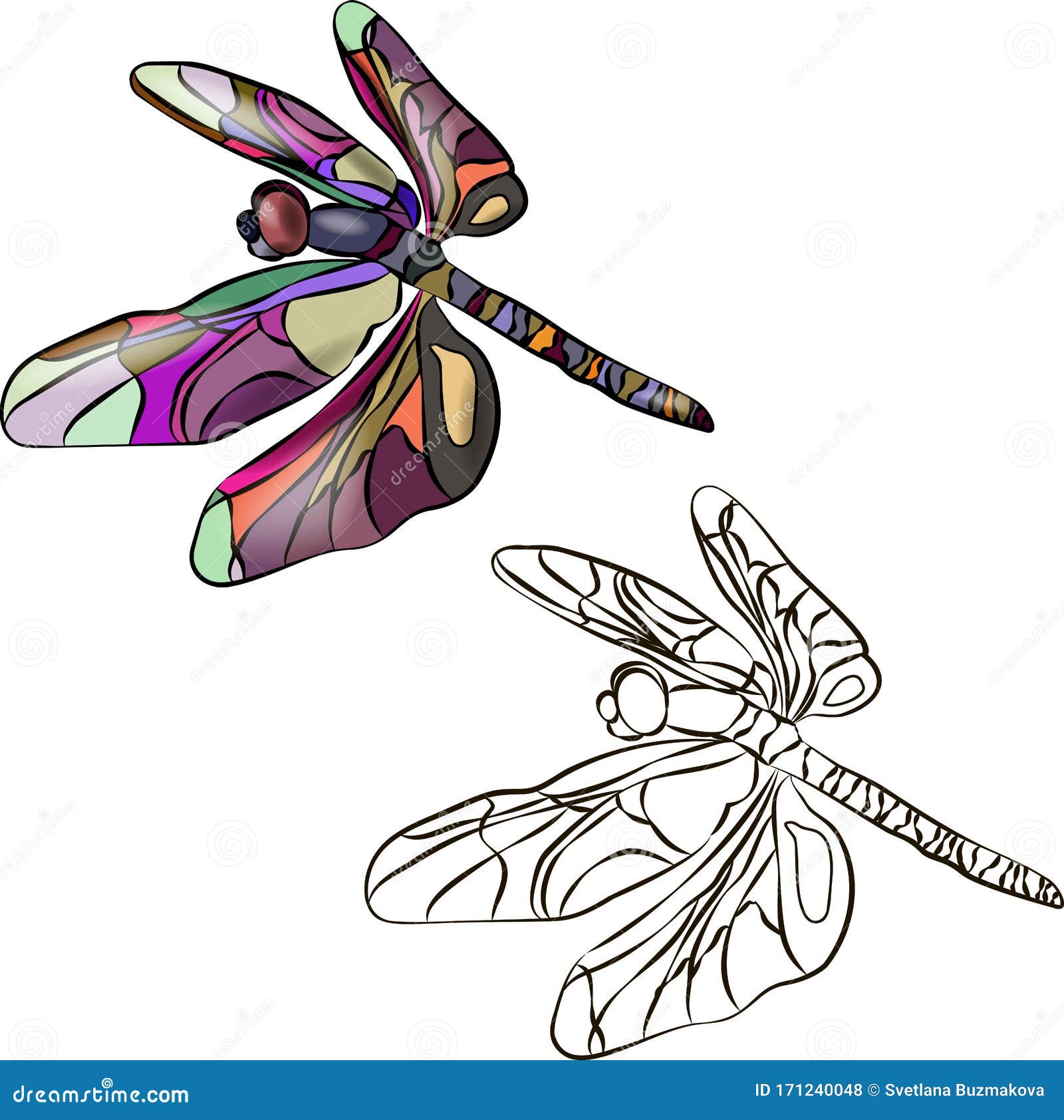 Two Stylized Dragonflies, Identical in Outline. Vector Illustration for ...
