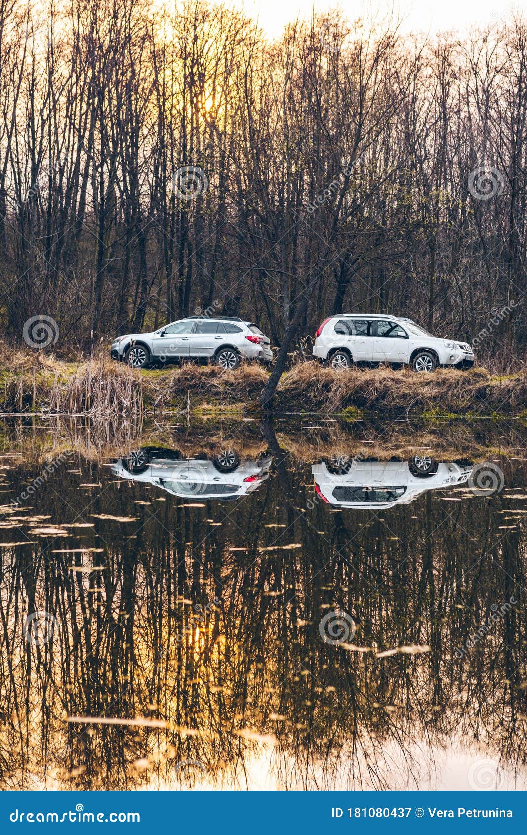 Two Suv Car in Forest. Foot Path Stock Image - Image of lifestyle ...