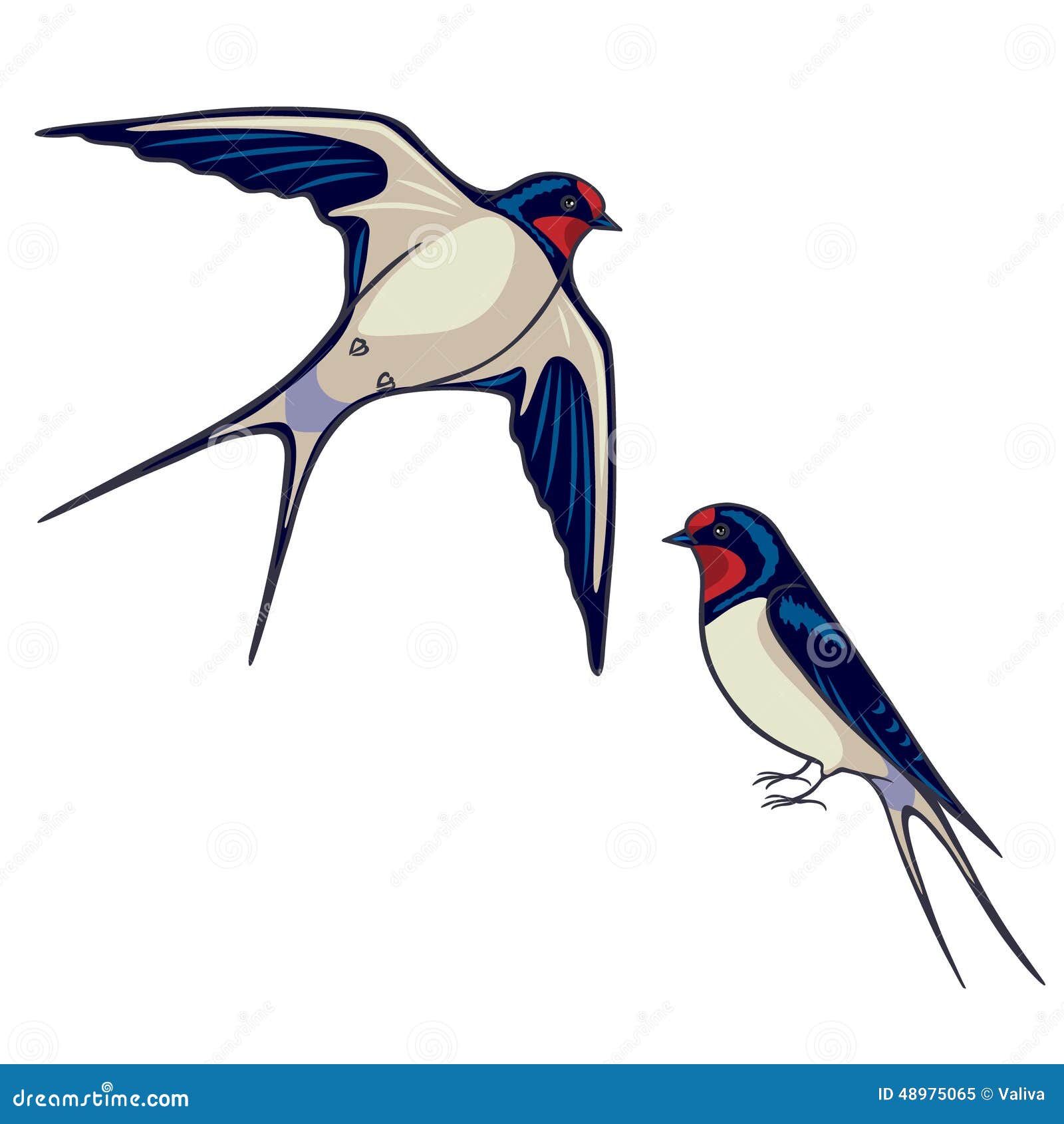 Two Swallow Drawing
