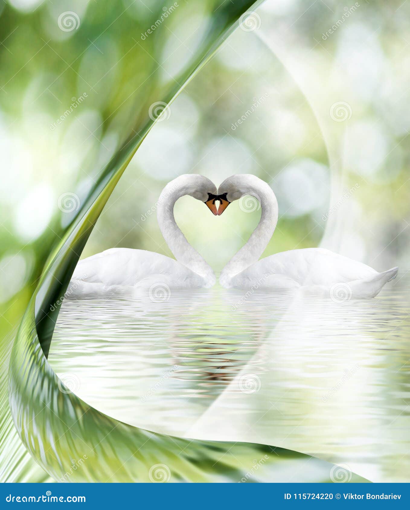 Two Swans in an Abstract Wave Stock Photo - Image of reflection, bright ...