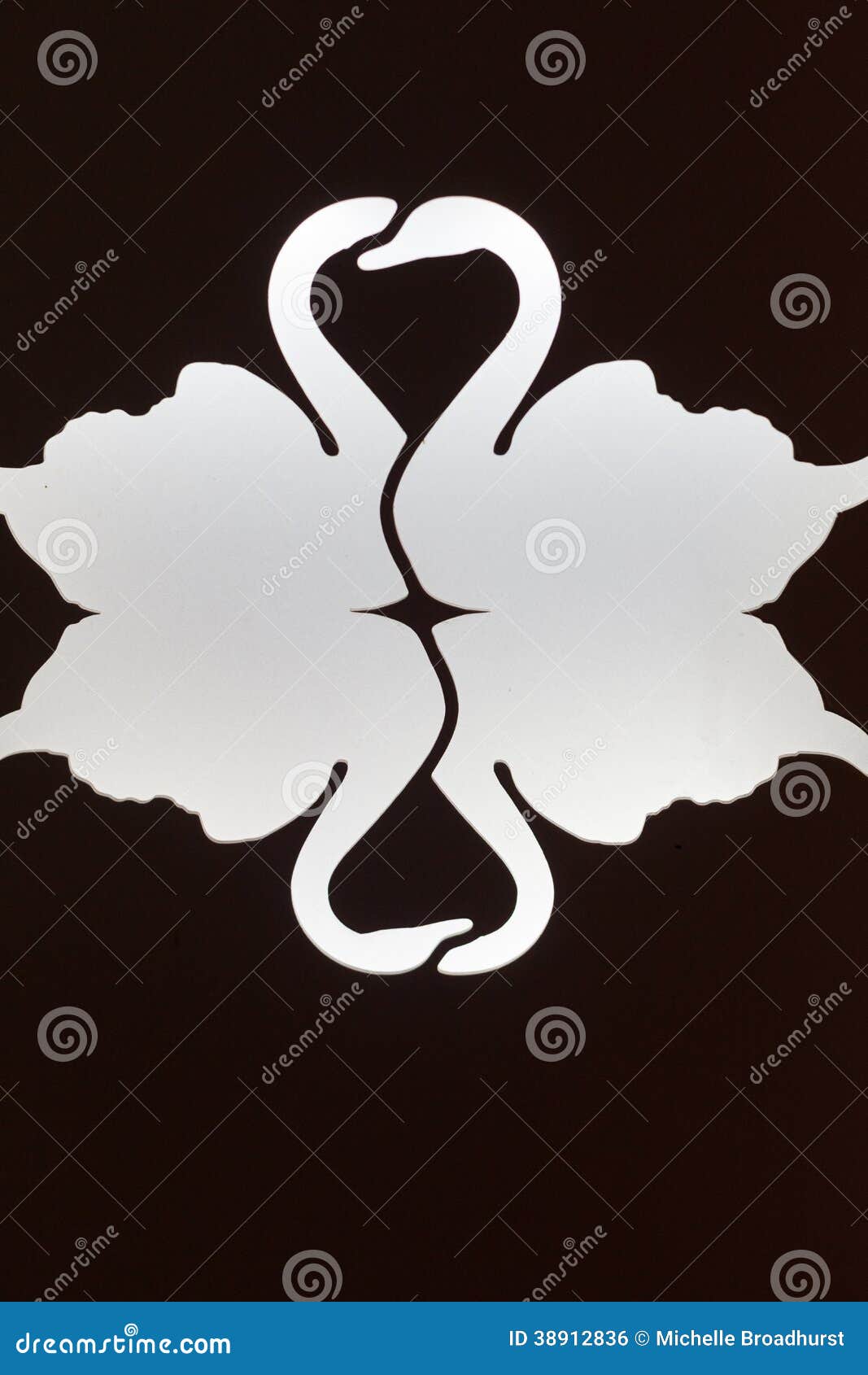 Two swans close together stock photo. Image of pretty - 38912836