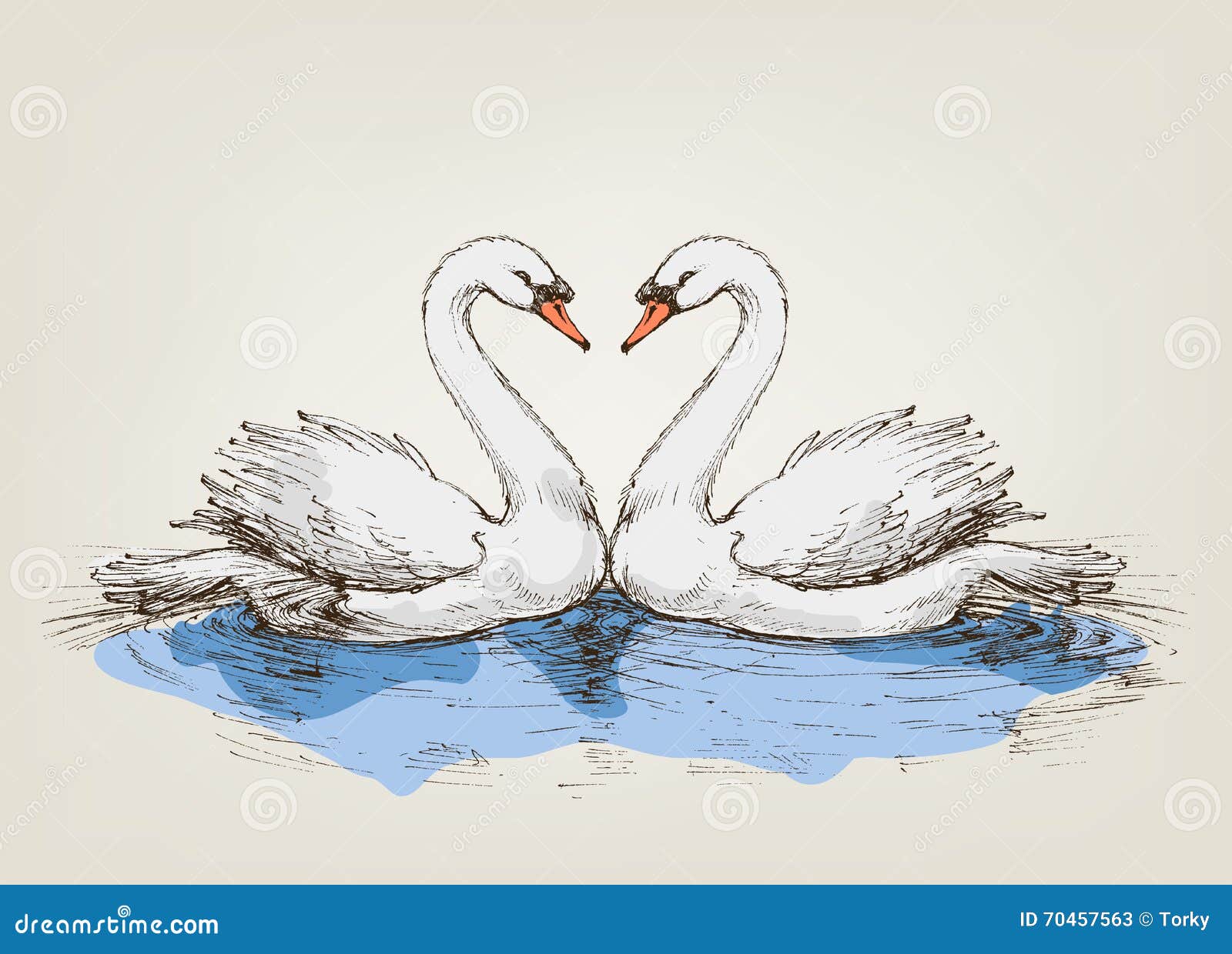 Two swans on lake stock vector. Illustration of lovely - 70457563