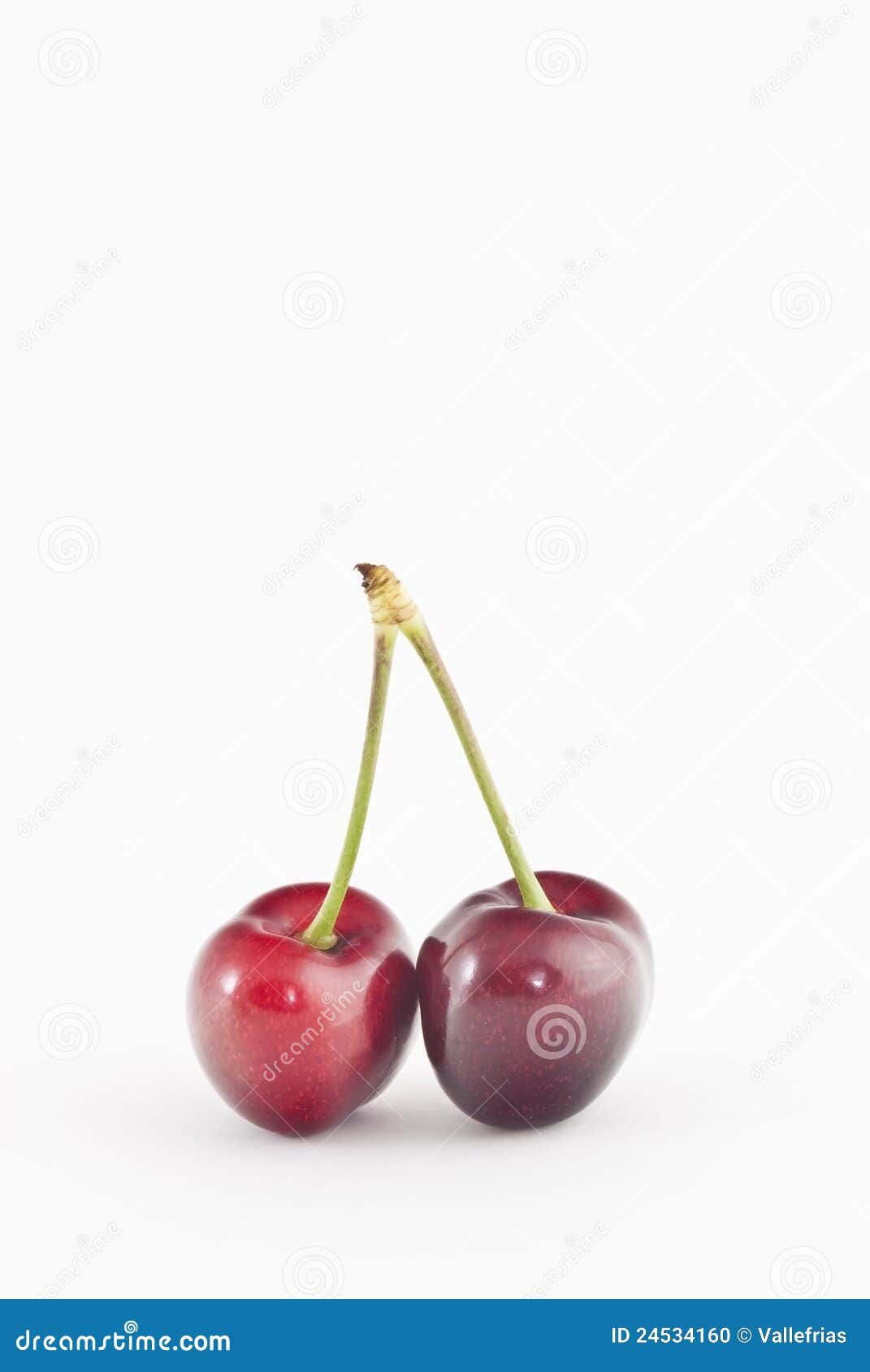Two sweet cherry stock photo. Image of snack, incommunicado - 24534160