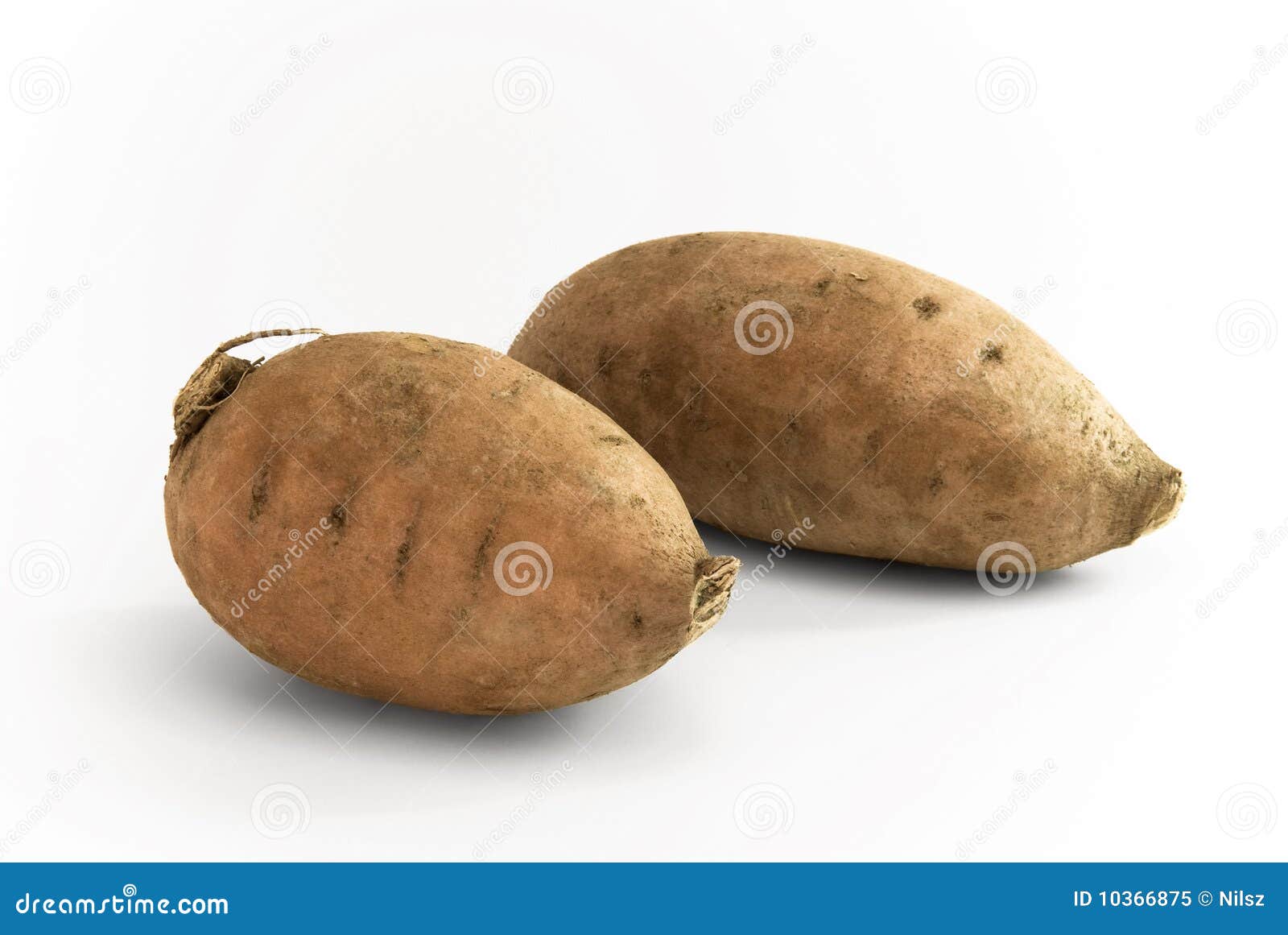 Two Sweet Potatoes stock image. Image of underground - 10366875