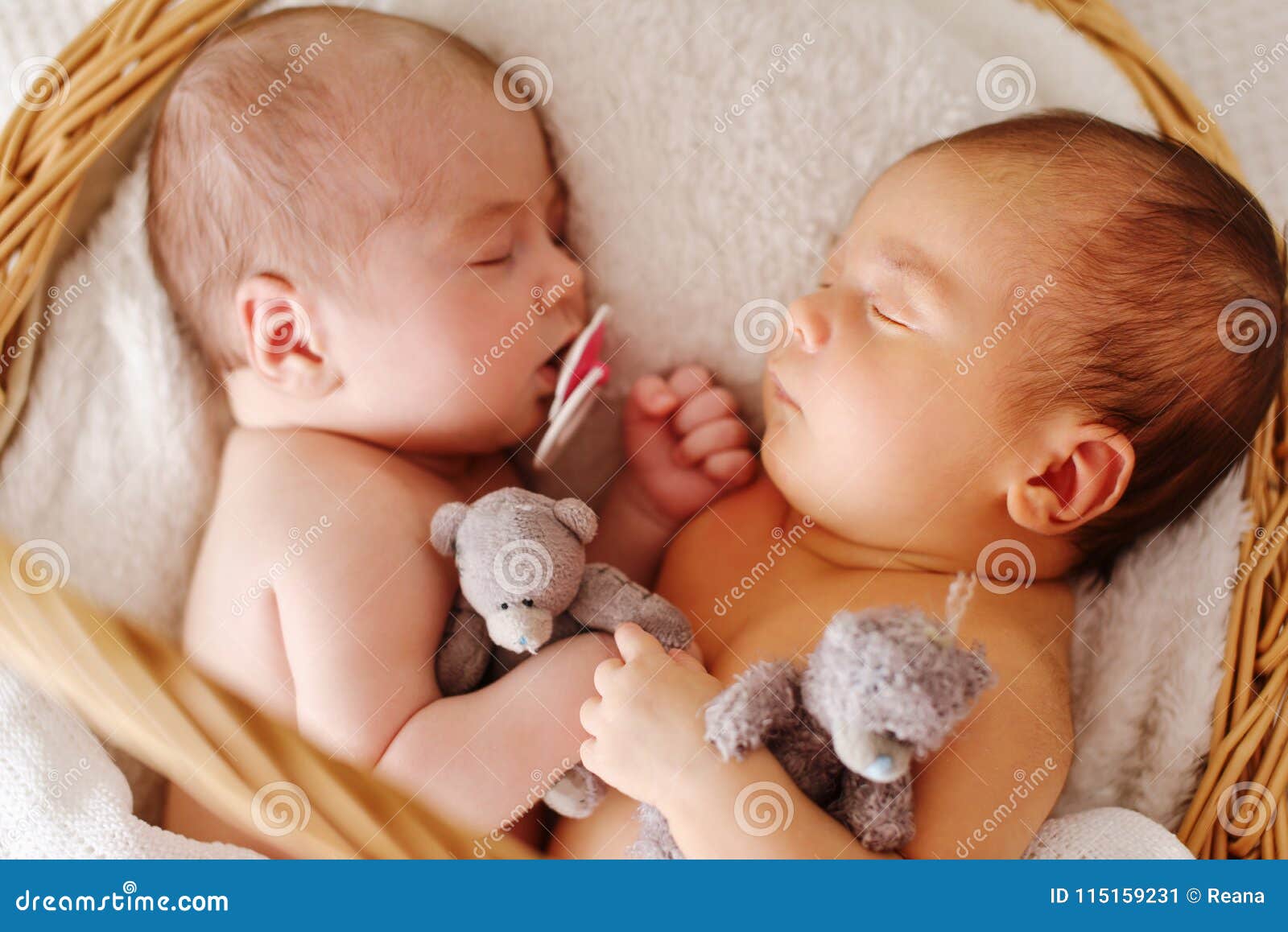 Two sweet twins stock image. Image of couple, human - 115159231