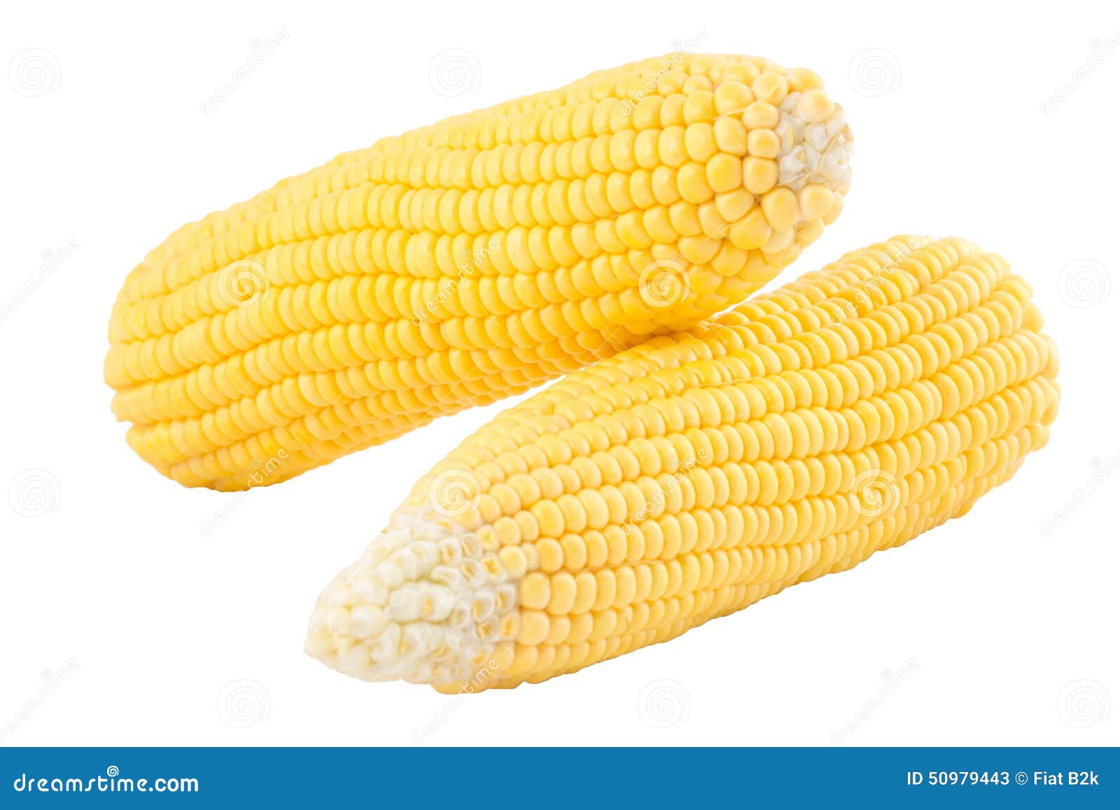 Two Sweetcorn on White Wallpaper Stock Image - Image of vegetable, farm ...