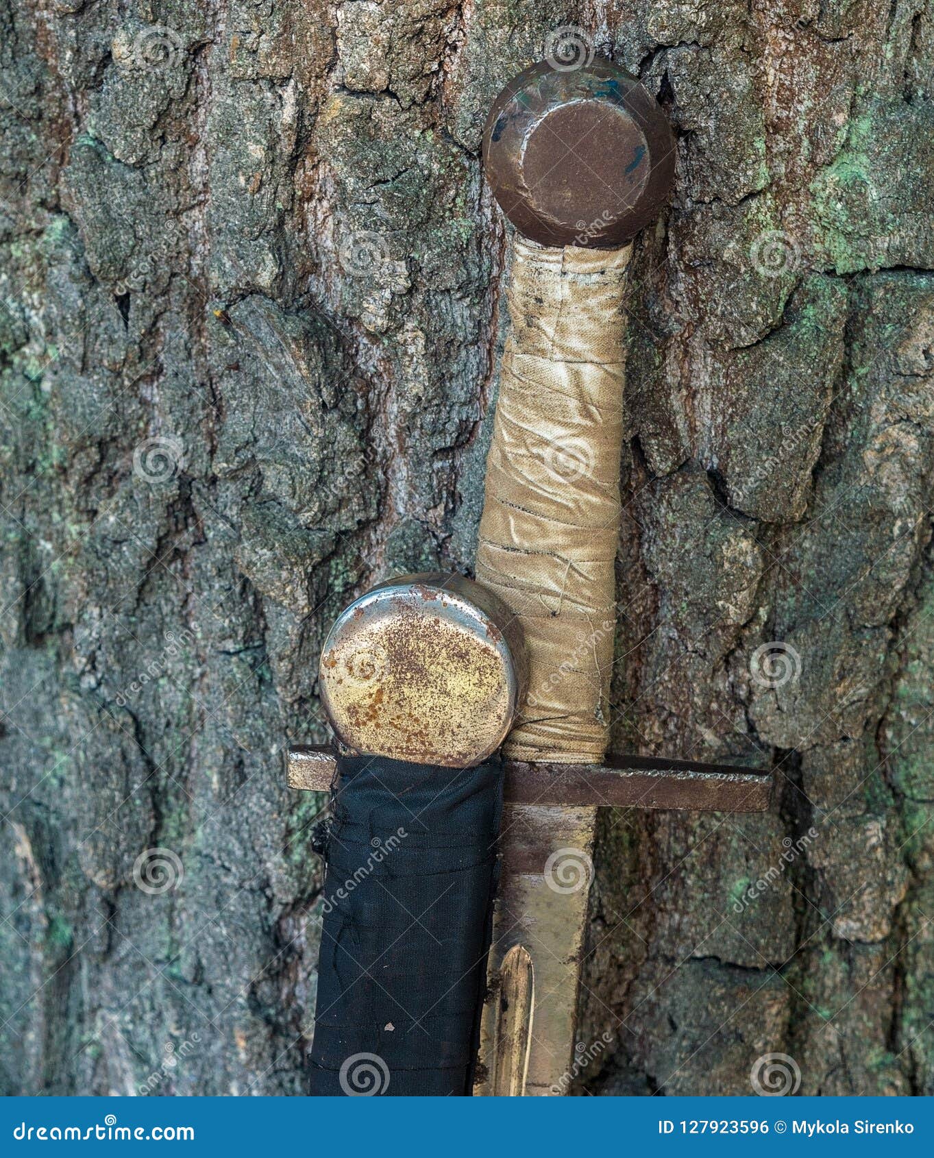 Two Sword Near the Tree in the Forest Stock Photo - Image of grass ...