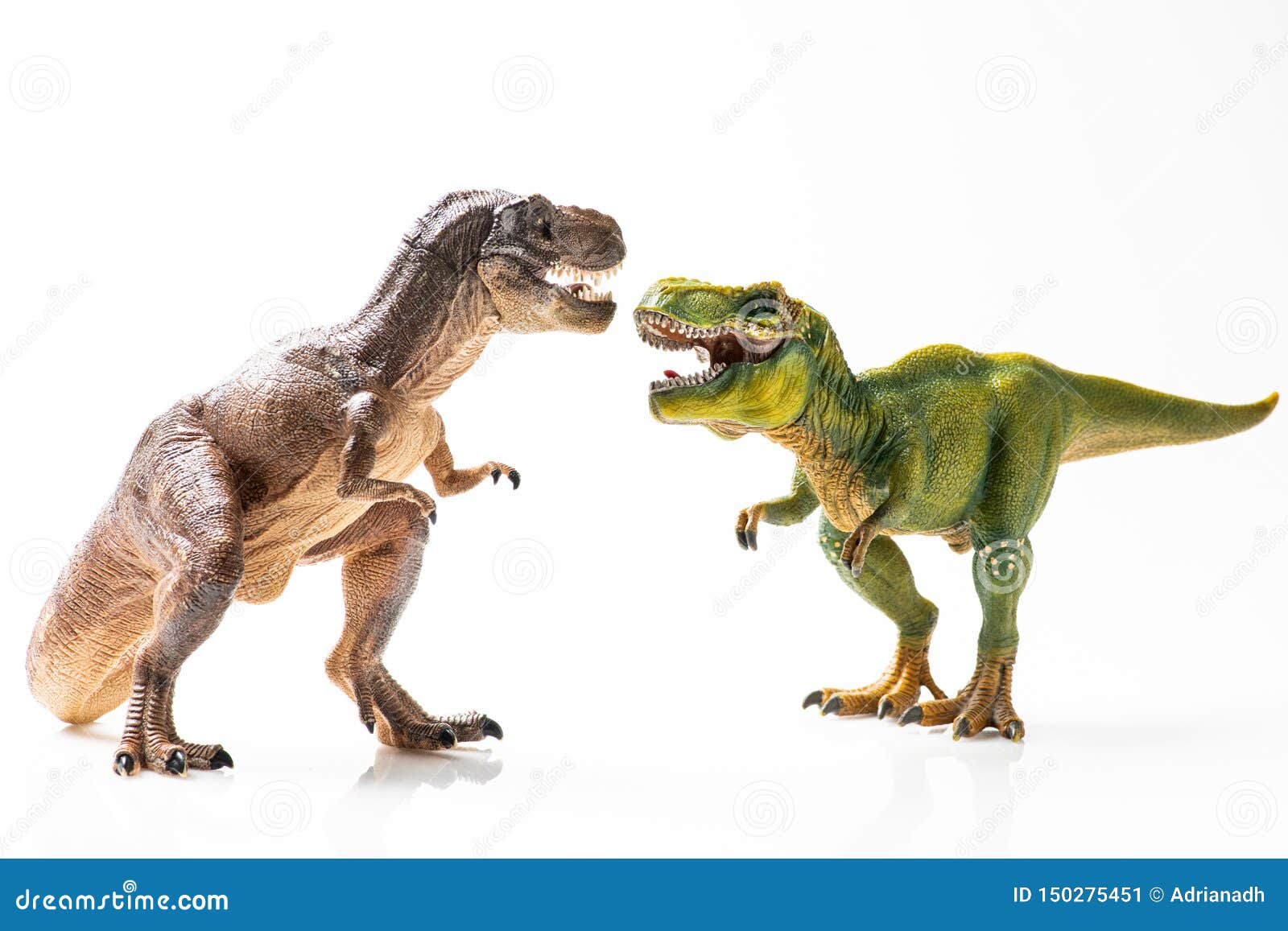 Two Tyrannosaurus Rex Figurines On White Stock Photo | CartoonDealer ...