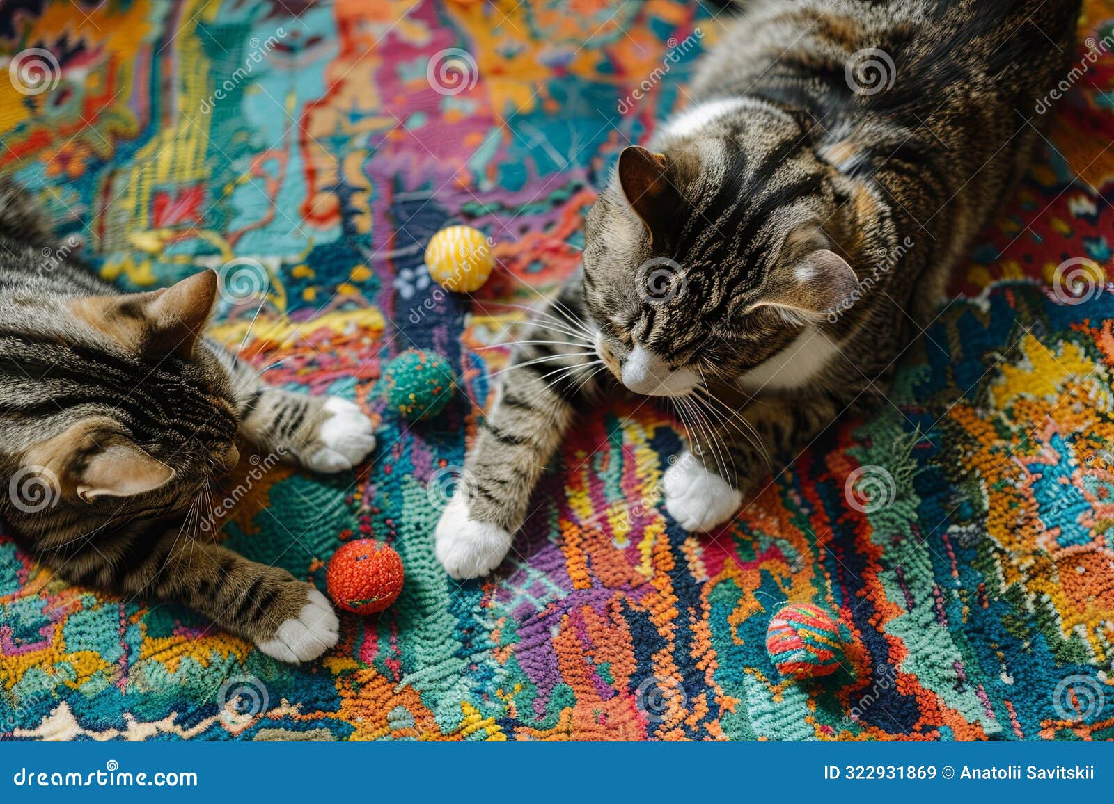Two Tabby Cats are Playfully Interacting with Brightly Colored Balls on ...