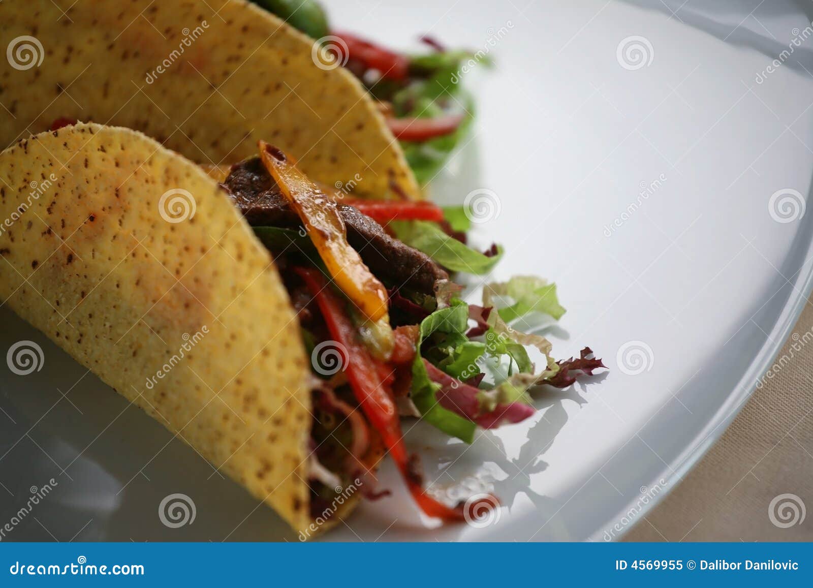 Two Tacos on a Plate stock image. Image of peppers, ethnic - 4569955