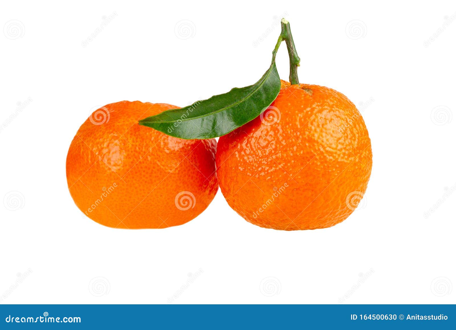 Two Tangerine Mandarin Orange Fruit Isolated on White Stock Photo ...