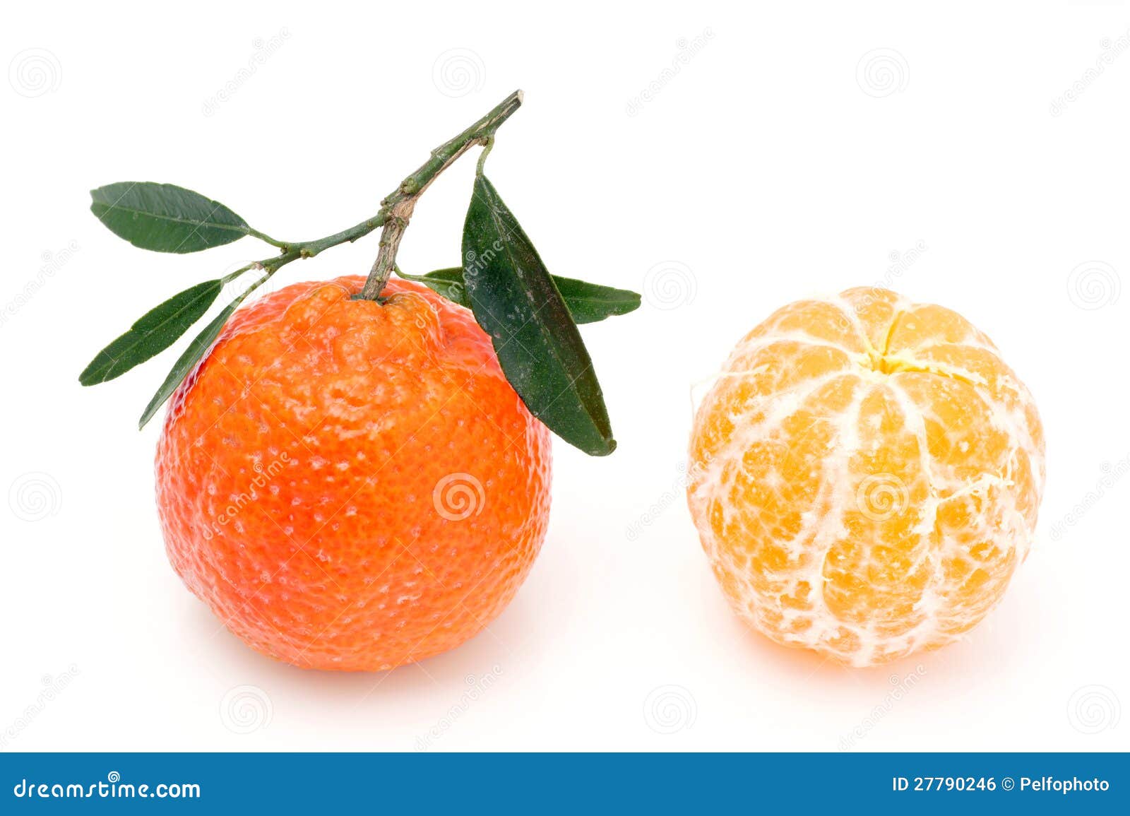 Two tangerines. stock photo. Image of healthy, harvesting - 27790246