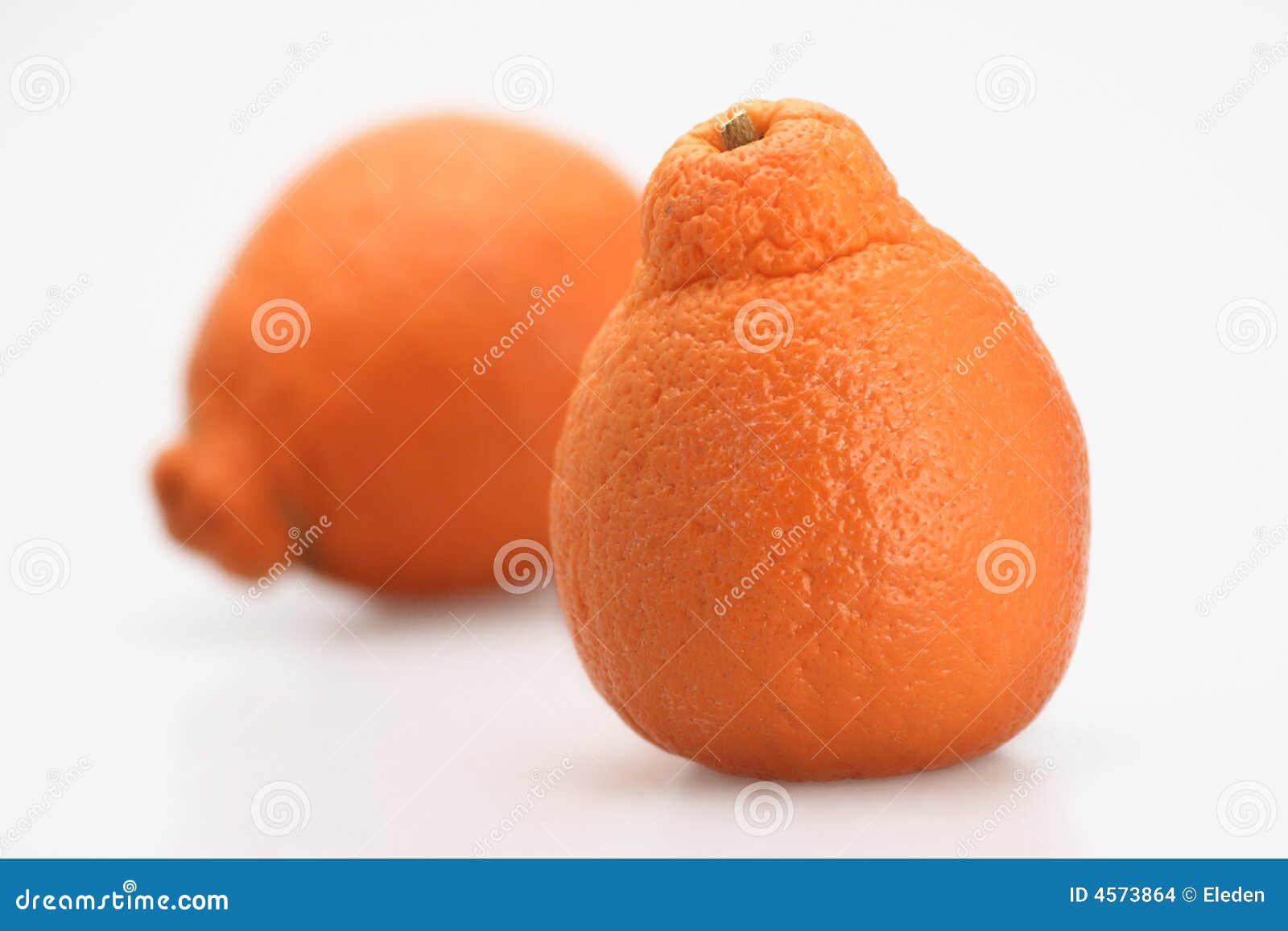 Two tangerines stock photo. Image of satsuma, organic - 4573864
