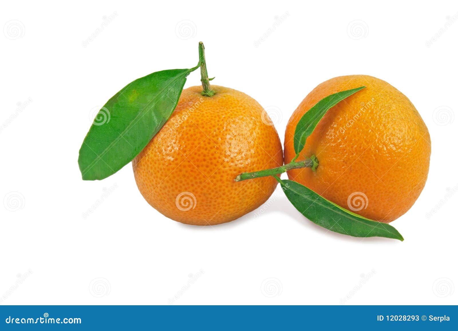 Two Tangerines with Green Leaves Stock Image - Image of tropical, plant ...