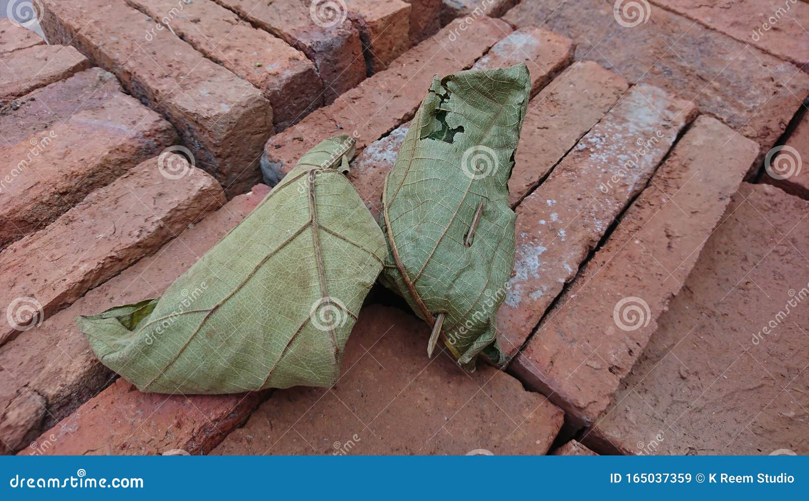 Two Teak Leaves for Food Packaging, on a Brick Pile Stock Image - Image ...