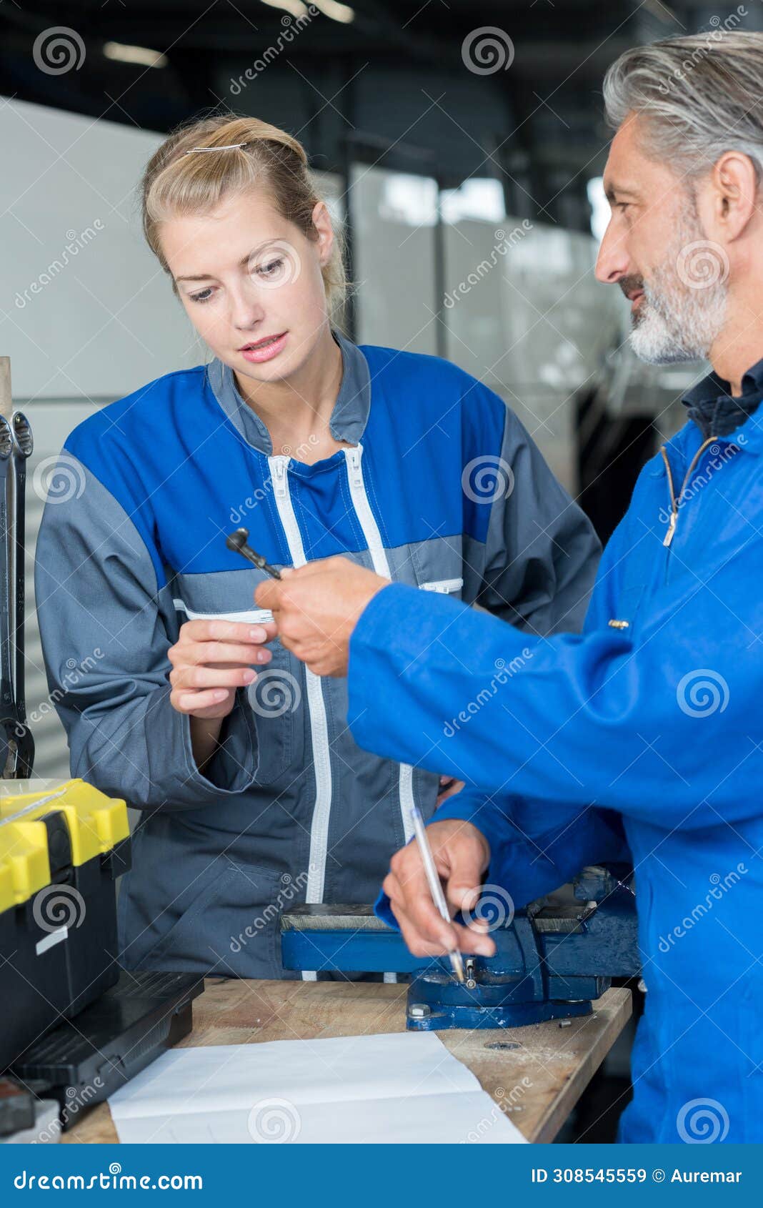 Two Technicians Working in Car Service Stock Image - Image of manual ...