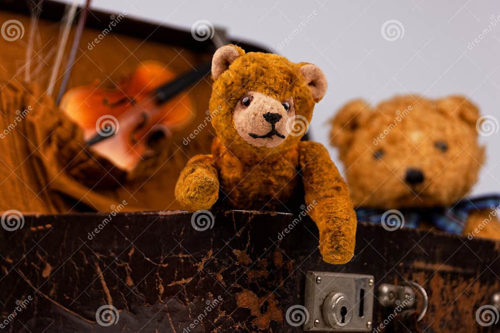 Two Teddies Sitting Inside a Small Vintage Case Stock Image - Image of ...