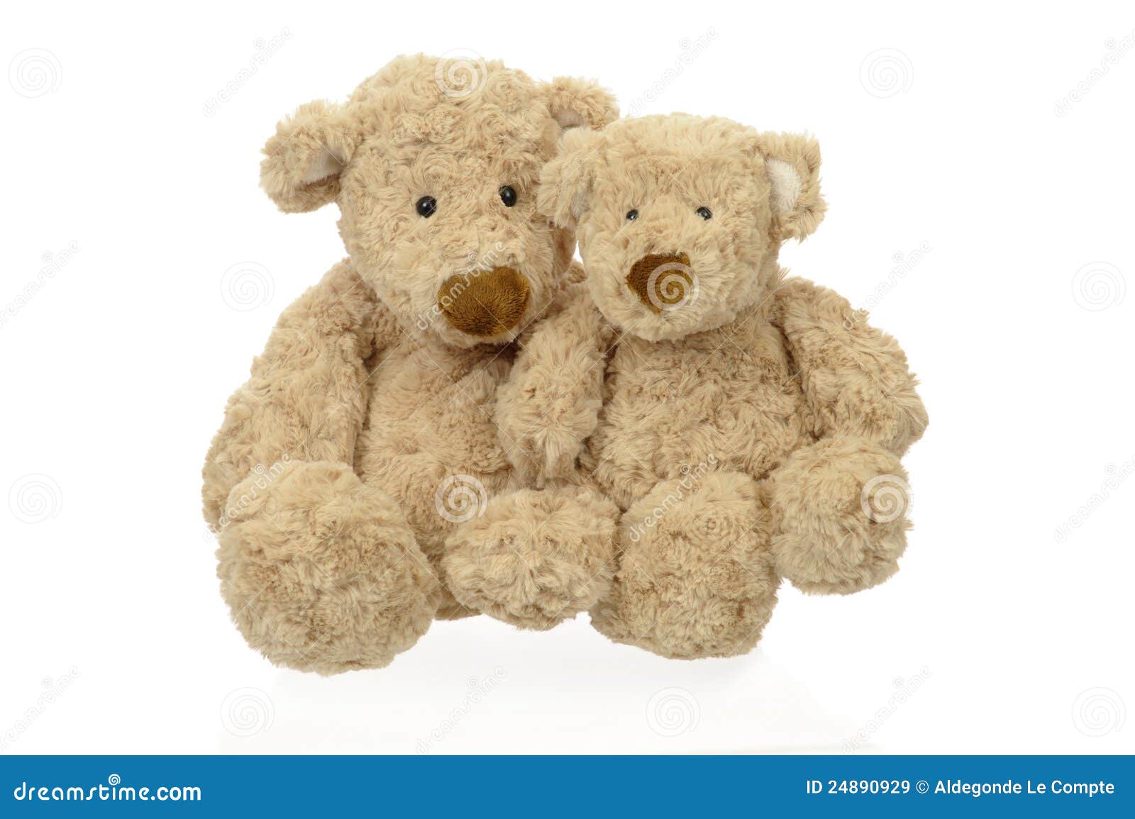 Two teddy bears stock image. Image of bear, square, brown - 24890929