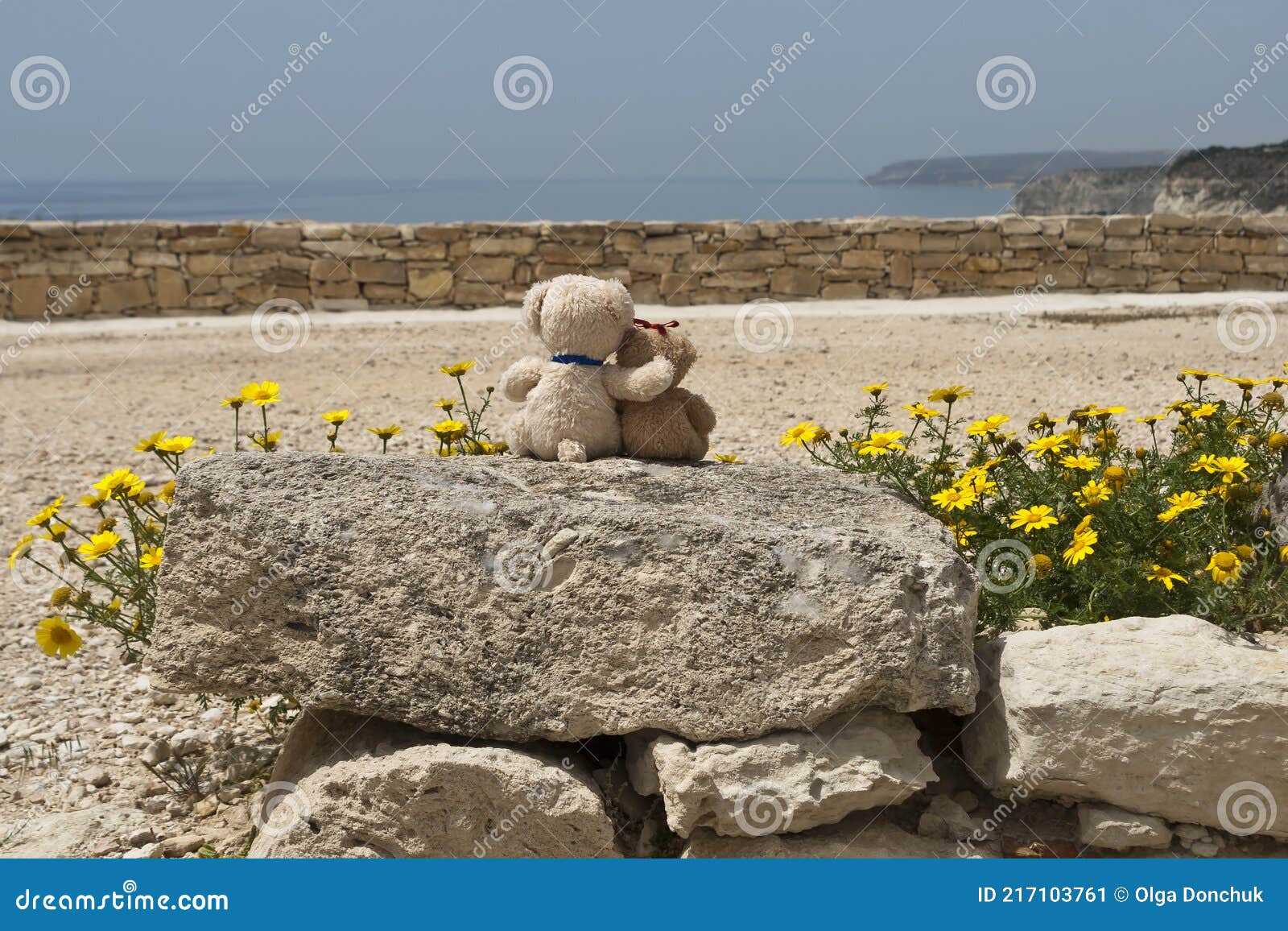 Two Teddy Bears on Big Rock at the Seaside Stock Image - Image of ...