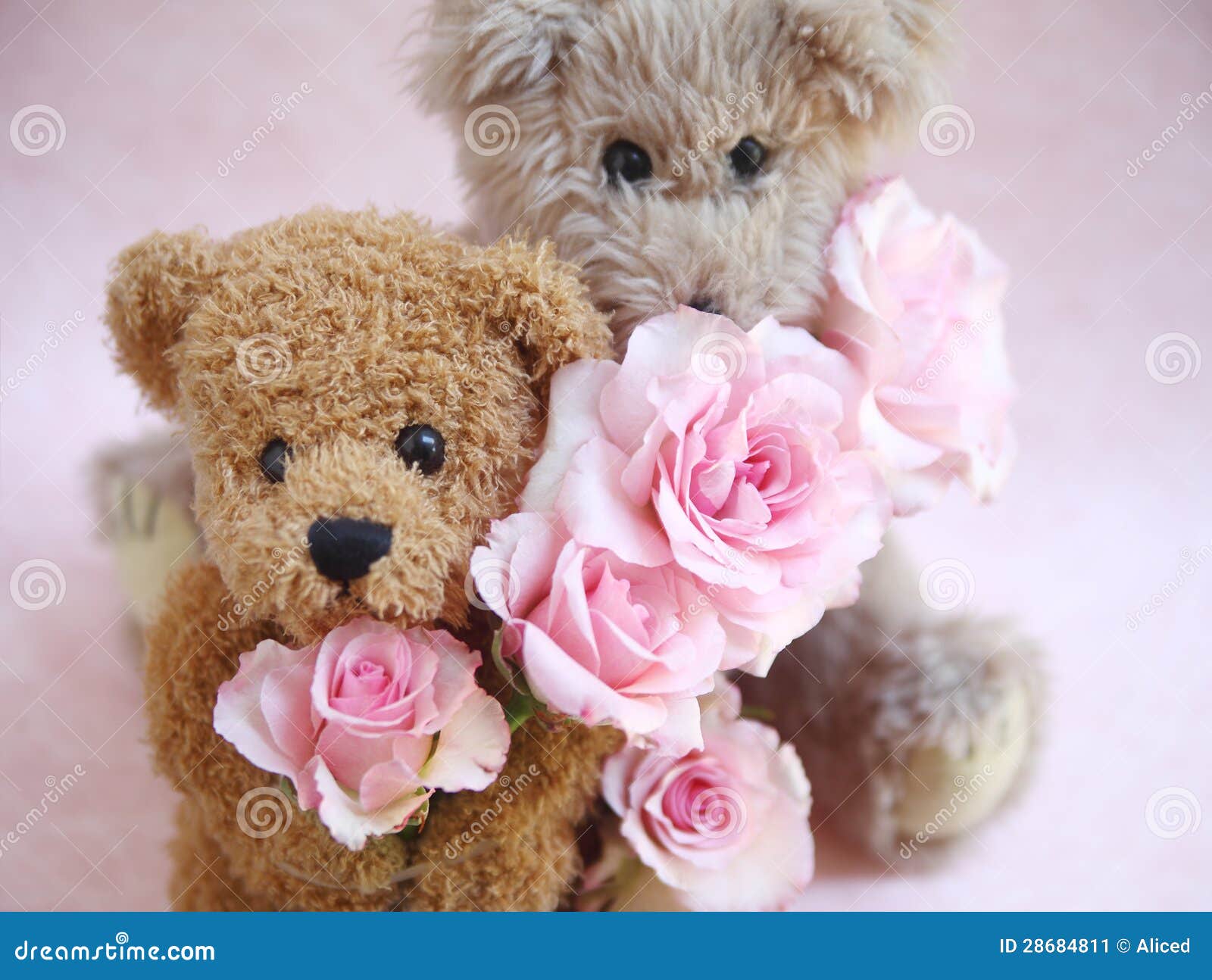 Two Teddy Bears Holding Roses Stock Image - Image of flowers, furry ...
