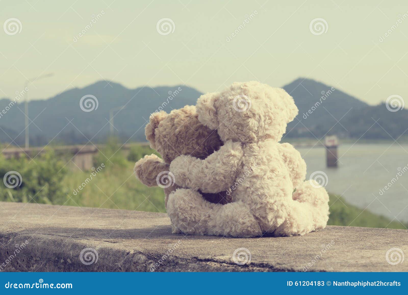 Two teddy bears hugging. stock image. Image of brown - 61204183