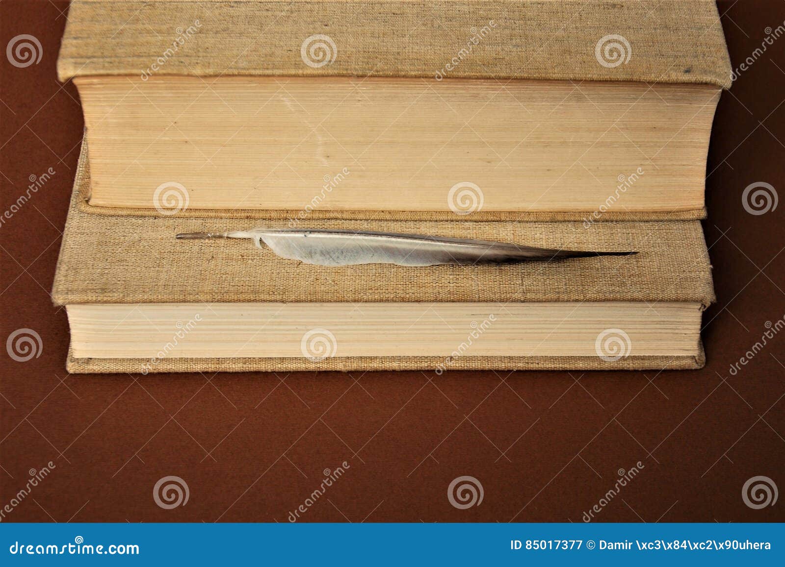 Two Thick Books and Thin Feather/ Pen Stock Image - Image of novels ...