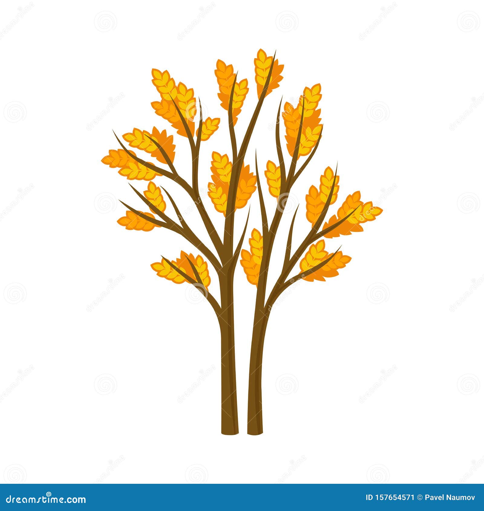 Two Thin Autumn Trees. Vector Illustration on a White Background. Stock ...
