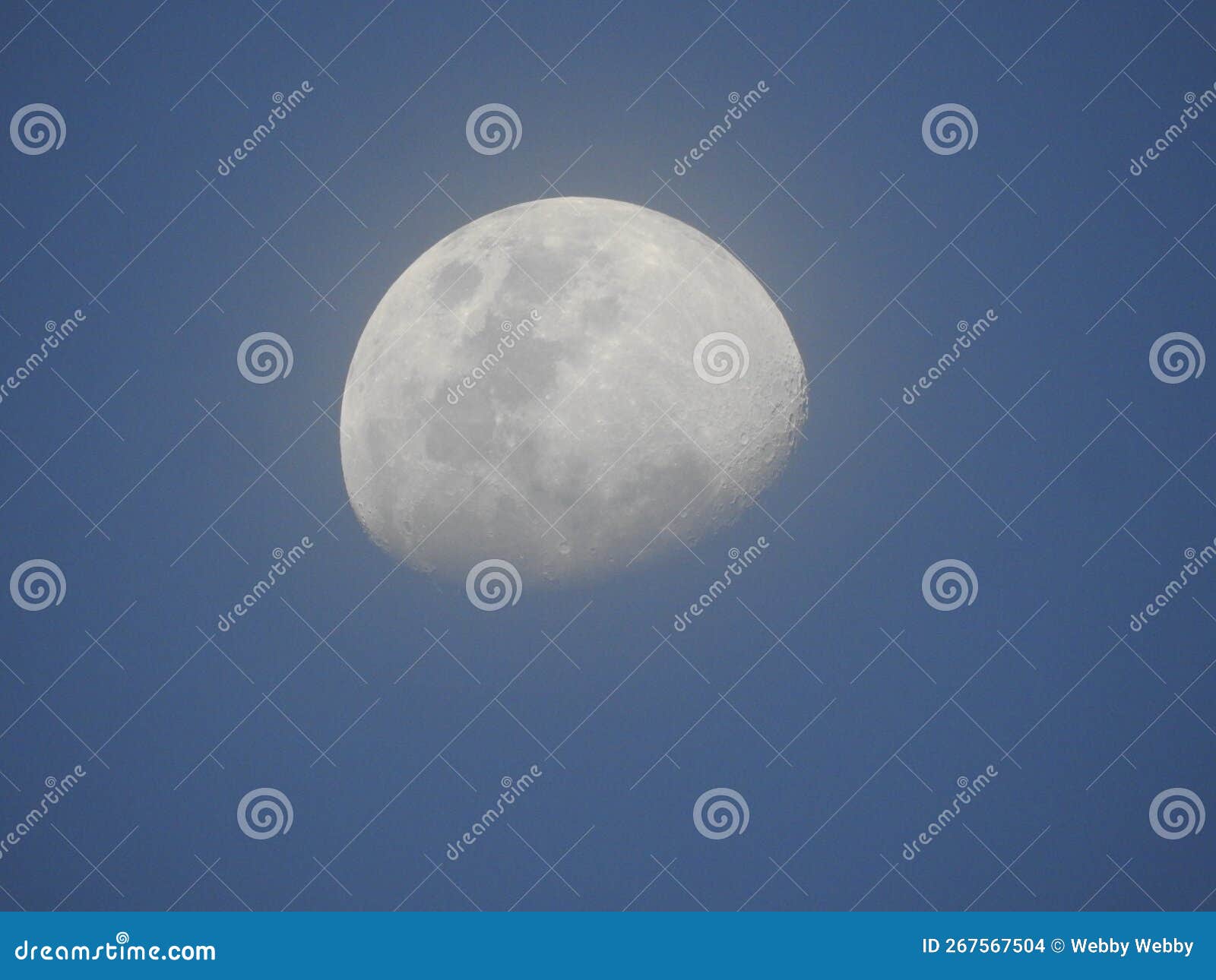 Two third moon in daylight stock photo. Image of horizon - 267567504