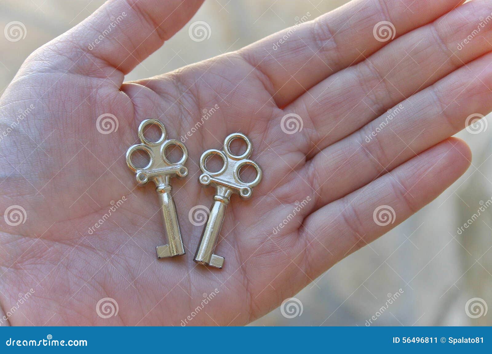 Two tiny keys in hand stock image. Image of keys, peace - 56496811