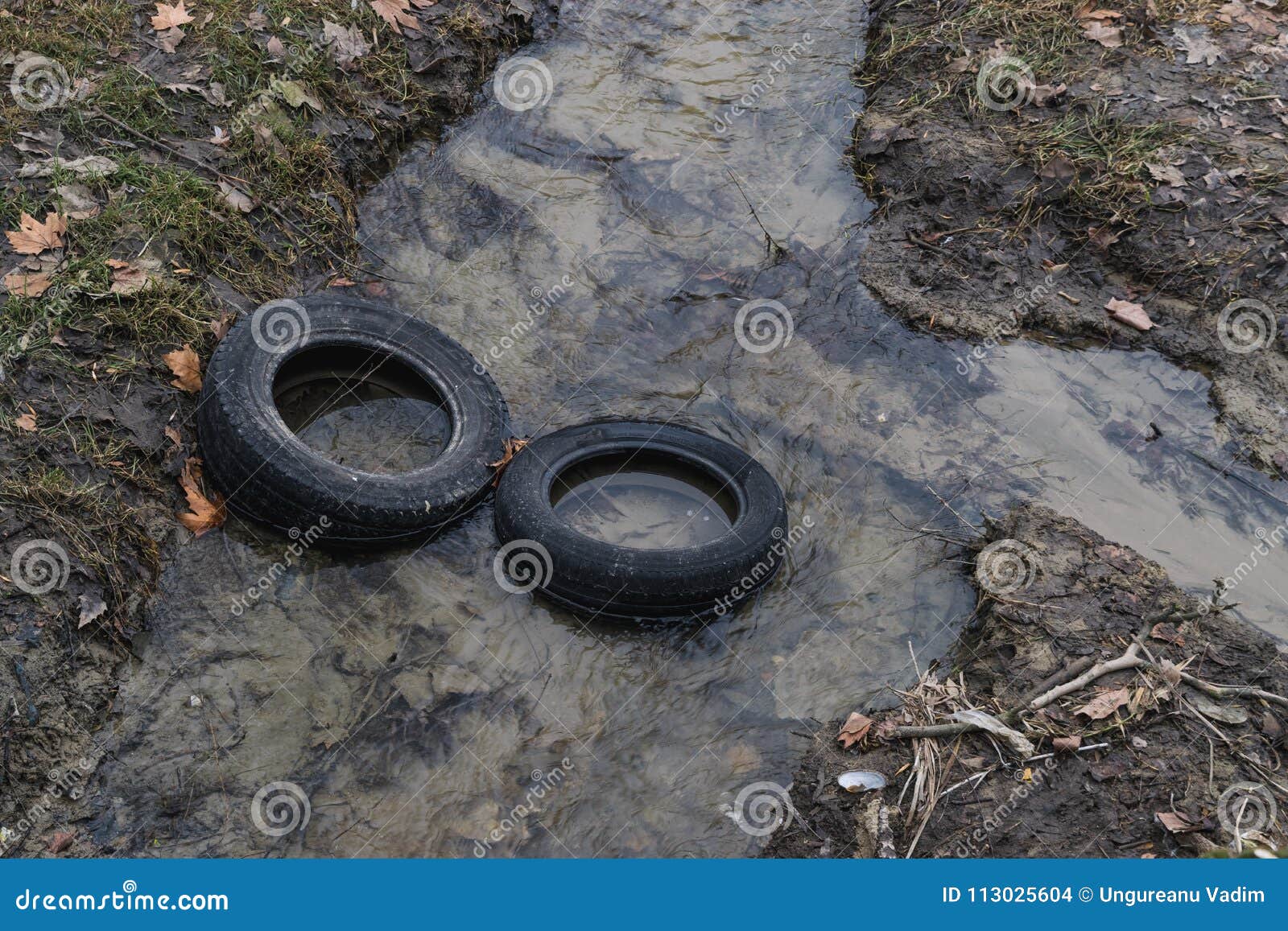 Two Tires in a River, Pollution Concept Stock Photo - Image of moldova ...