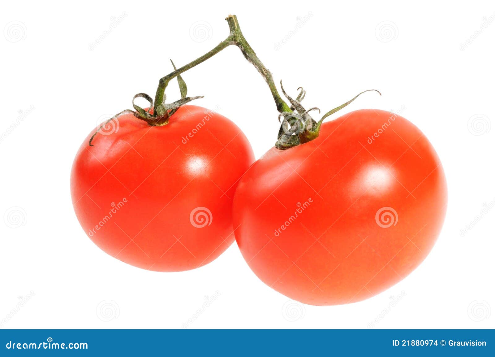 Two tomato stock photo. Image of culinary, organic, branch - 21880974