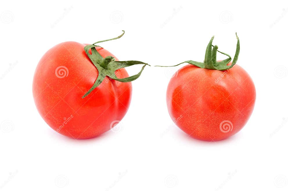 Two tomato dancing stock image. Image of meal, fruit - 19057241