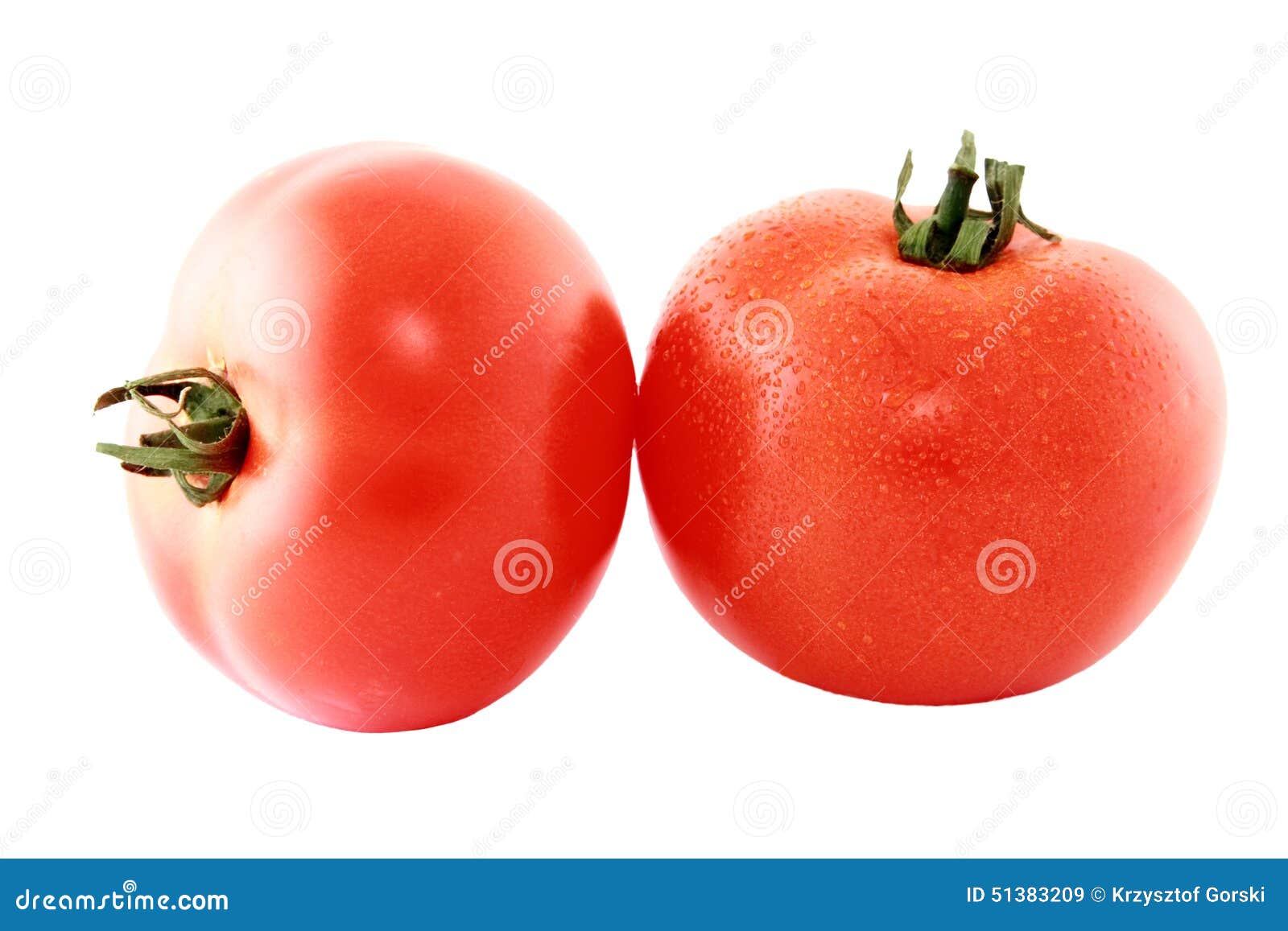 Two Tomato Isolated On White Background Cutout Stock Image ...