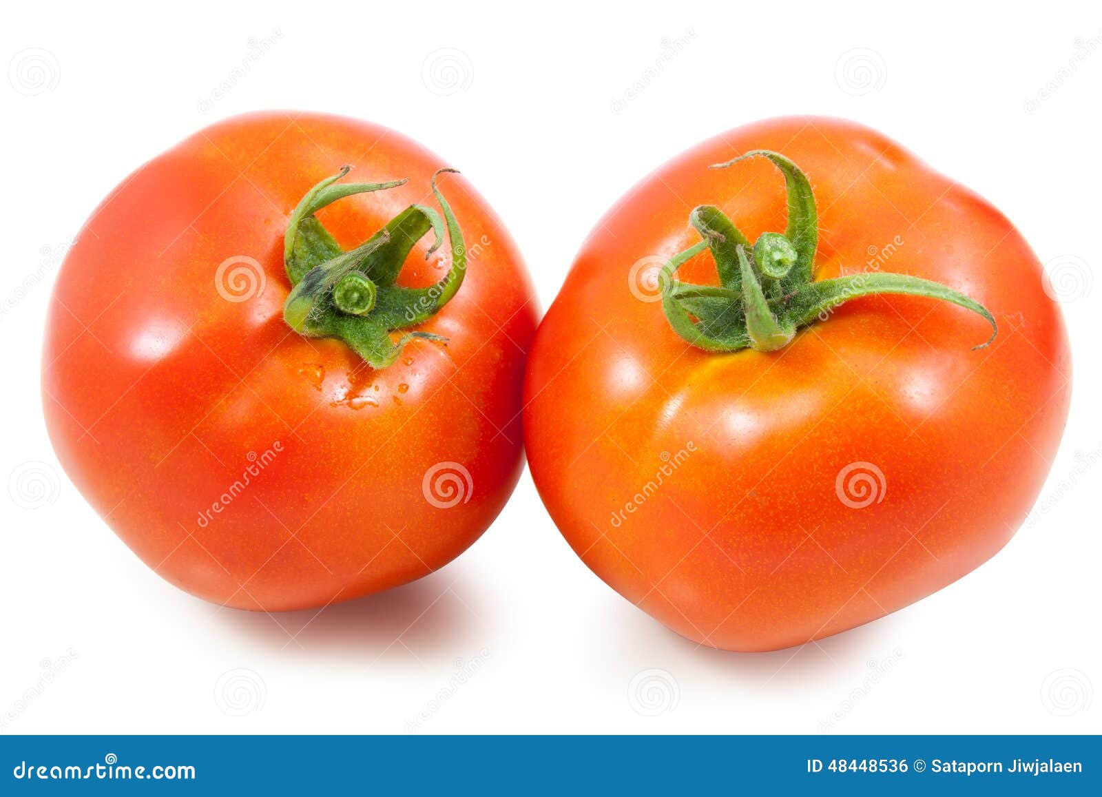Two tomato stock photo. Image of ketchup, fresh, single - 48448536