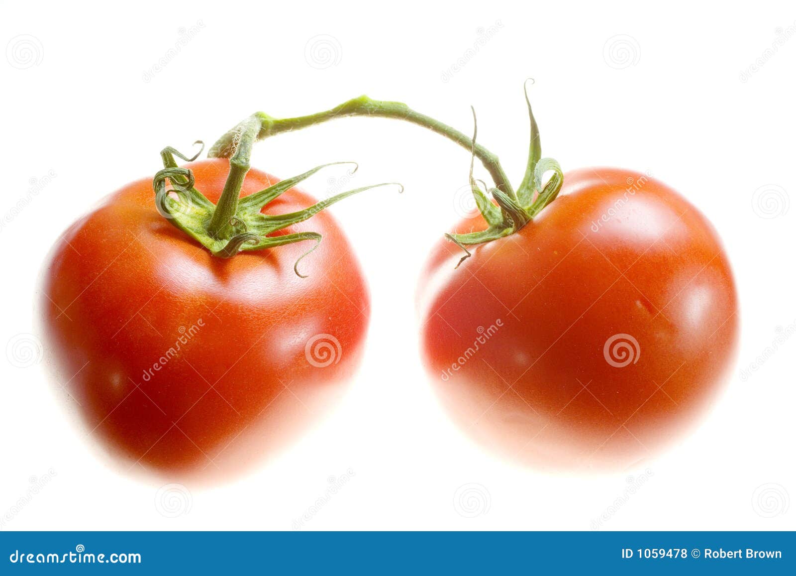Two tomatoes stock photo. Image of pair, fruit, ingredients - 1059478