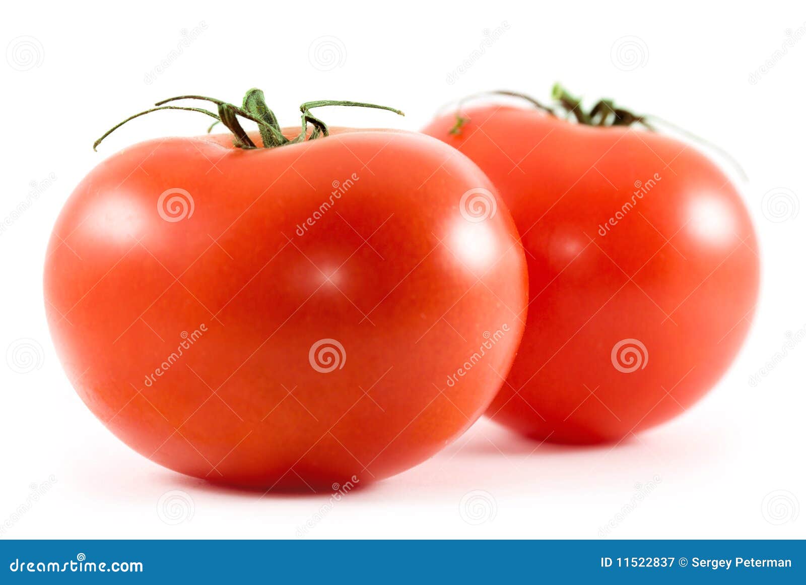 Two tomatoes stock image. Image of agriculture, macro - 11522837