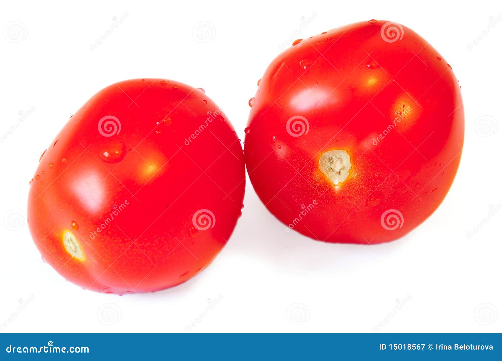 Two tomatoes stock image. Image of isolated, white, summer - 15018567