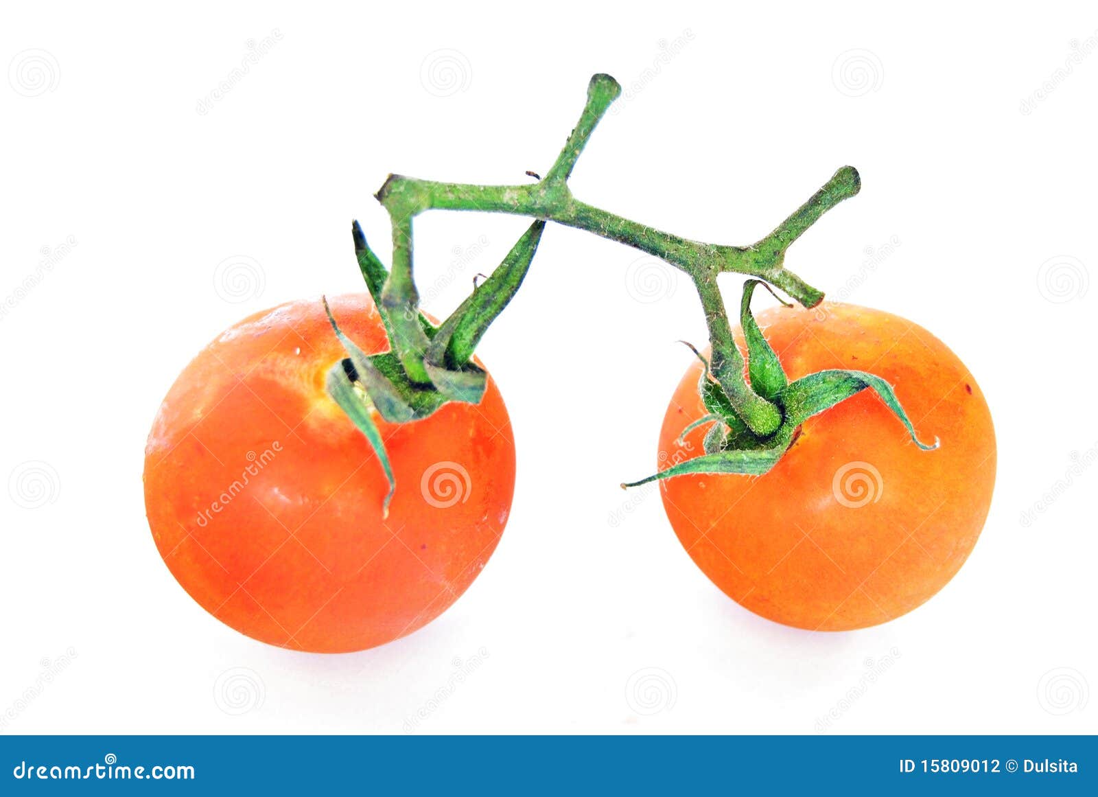 Two tomatoes stock photo. Image of white, isolated, salad - 15809012