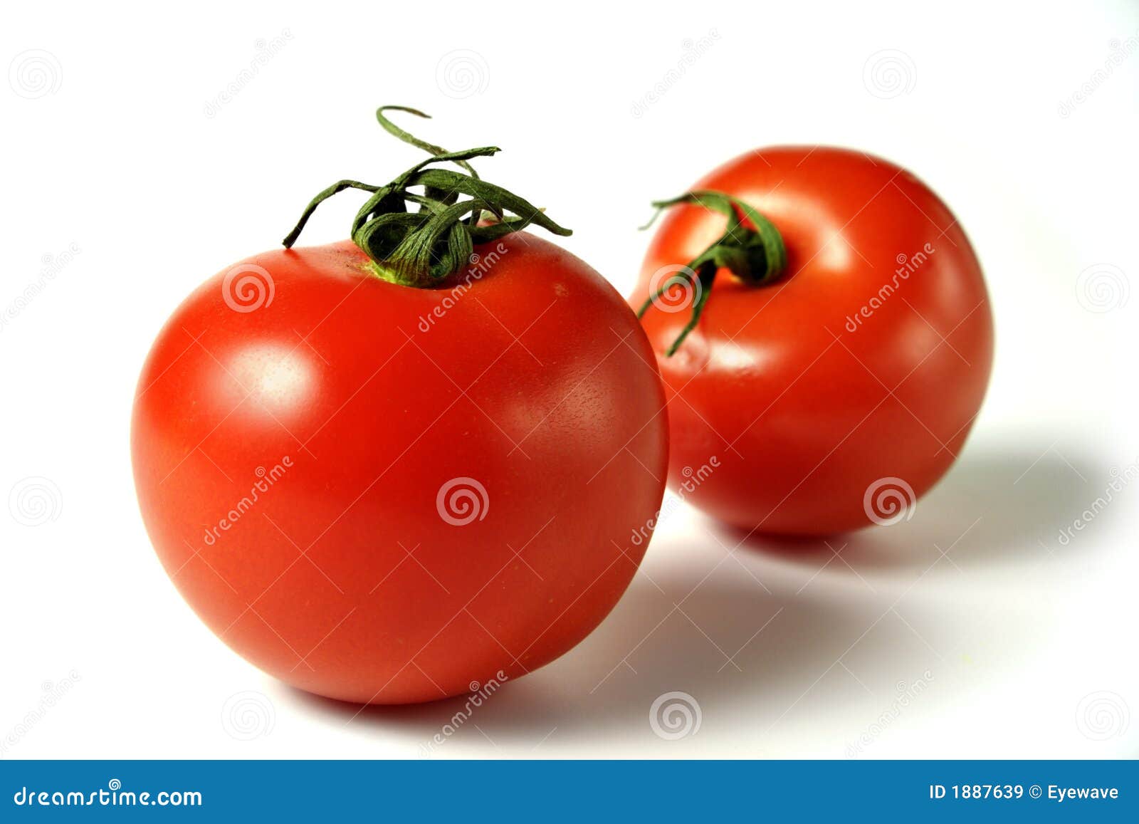 Two tomatoes stock image. Image of edible, farming, garden - 1887639