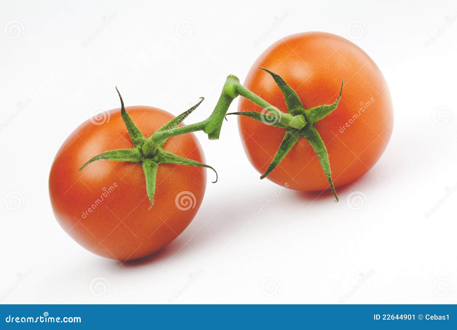 Two tomatoes stock image. Image of diet, couple, fruit - 22644901