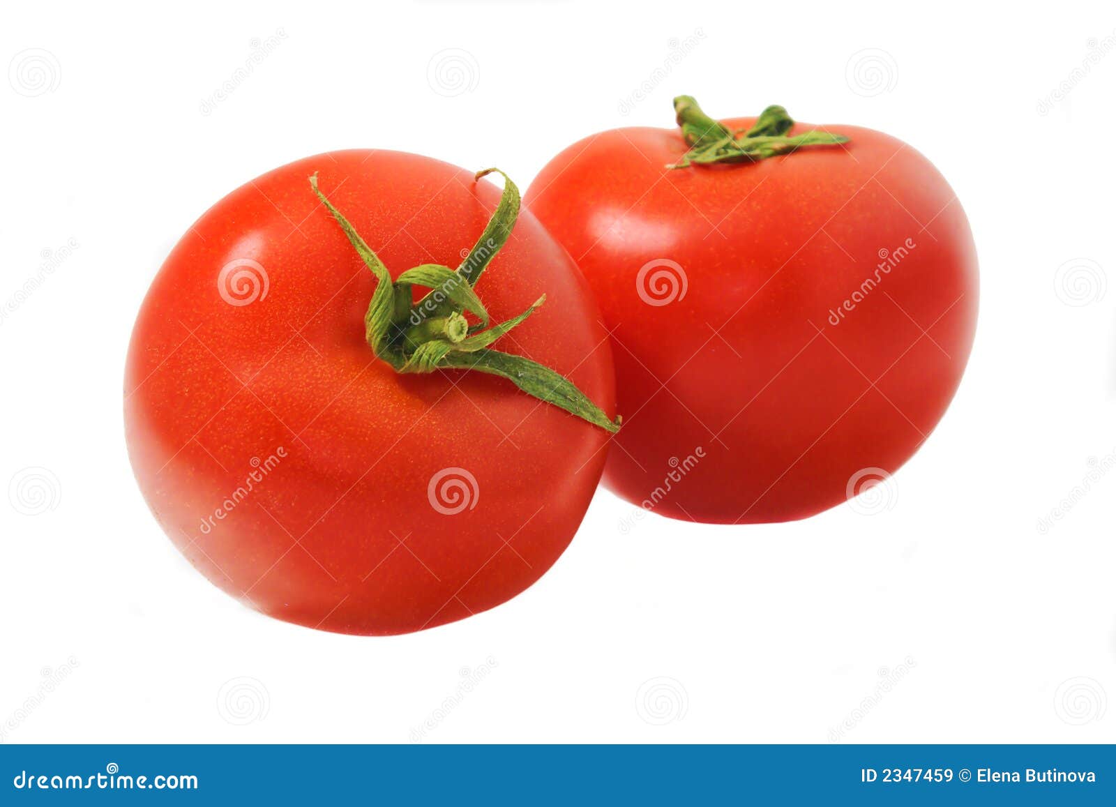 Two tomatoes stock image. Image of healthy, ripe, organic - 2347459