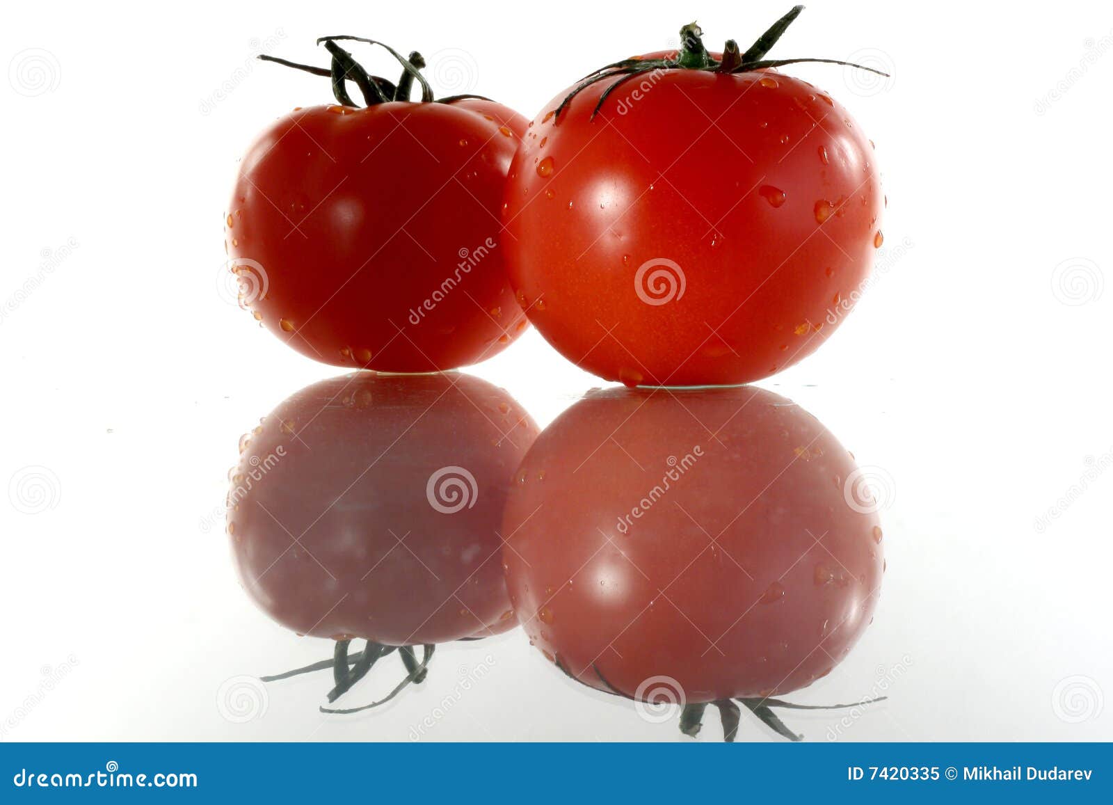 Two tomatoes stock image. Image of brightly, peel, ripe - 7420335
